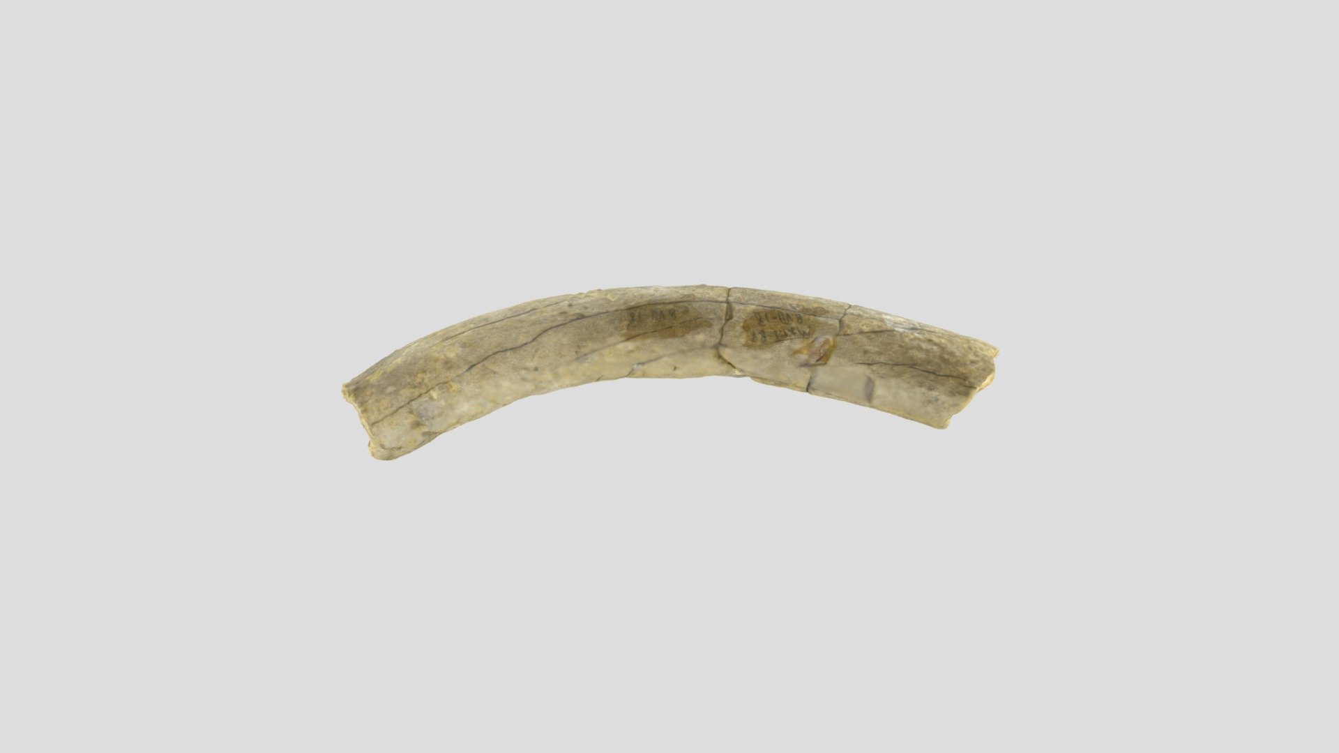 МЖГ-1987-Bones-17 - 3D model by TL (@libtim) [66a5d2e] - Sketchfab