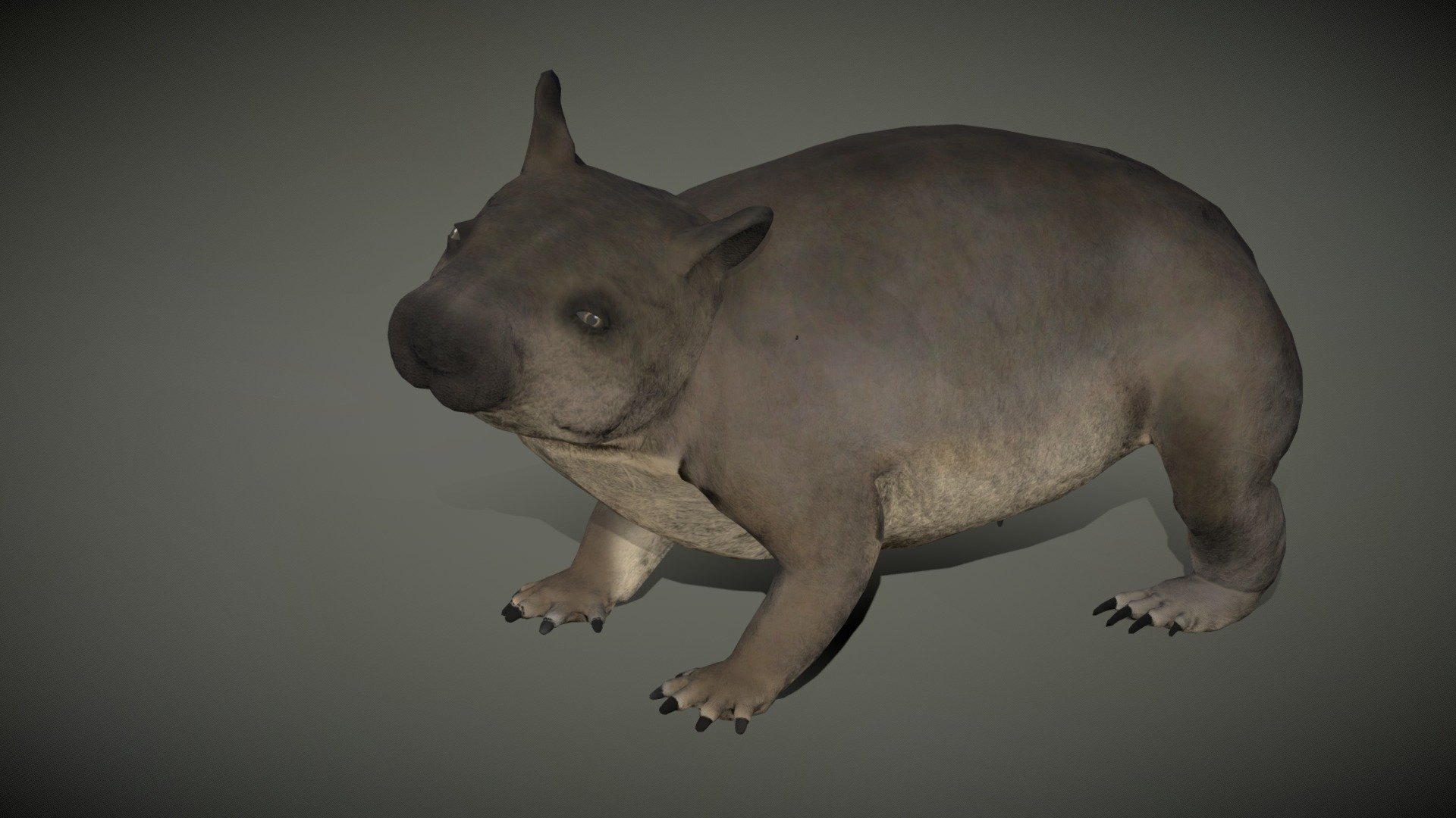 NEW WOMBAT RIG12 Nolights - Download Free 3D model by zandos [66aa6bd ...