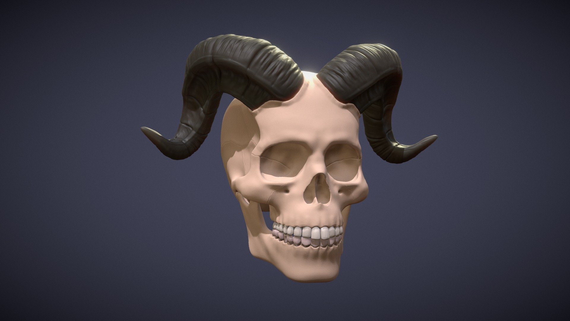 Skull And Horn - Download Free 3D model by Murat Can ÜNAL (@avanar ...
