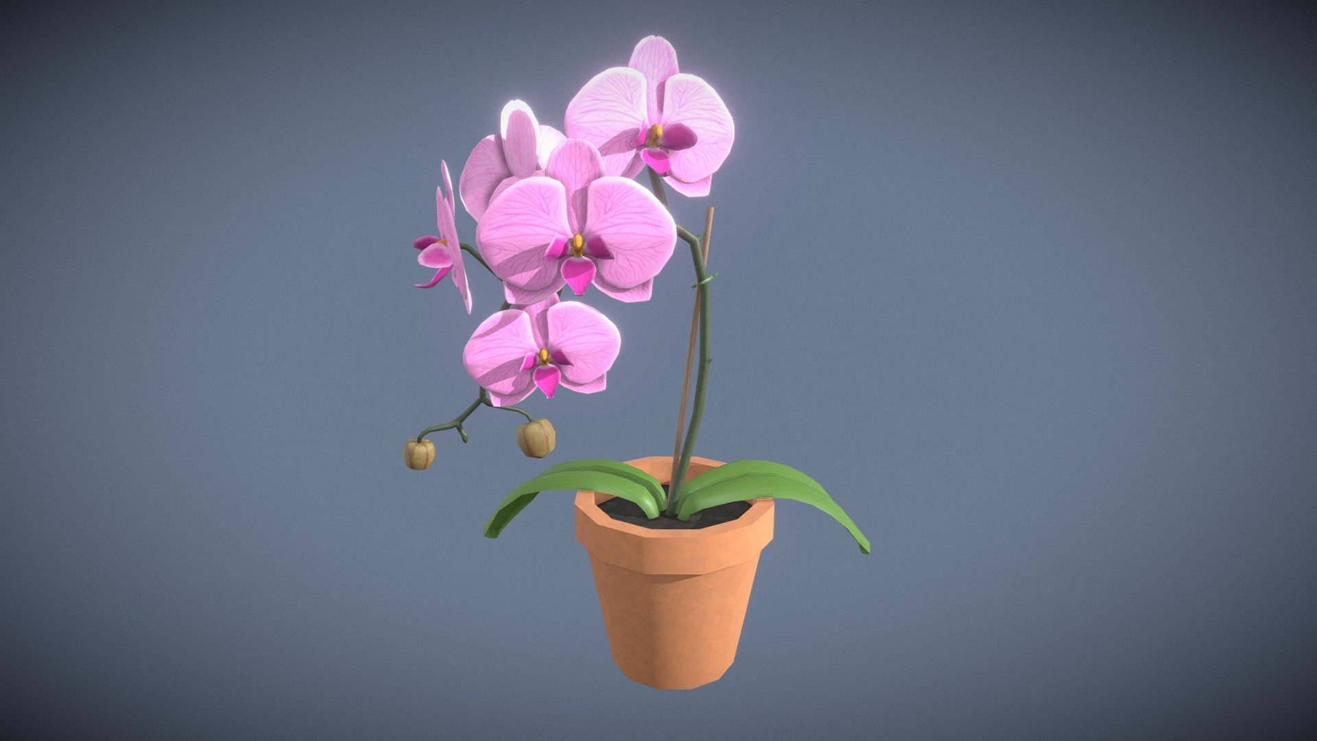 Orchid - 3D model by Ivar Norlin (@ivarnorlin) [66ae16d] - Sketchfab