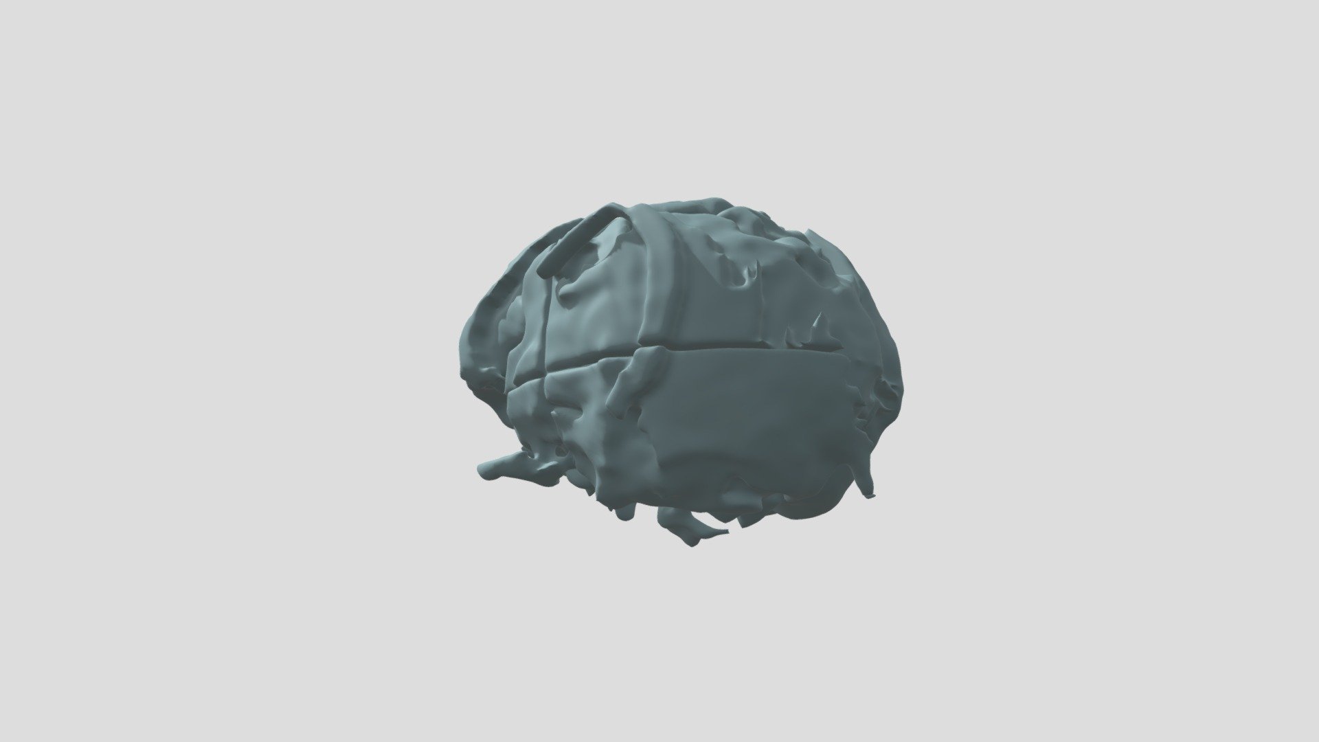 Segmentation_Segment_1 - Download Free 3D model by AlondraV [66b6055 ...