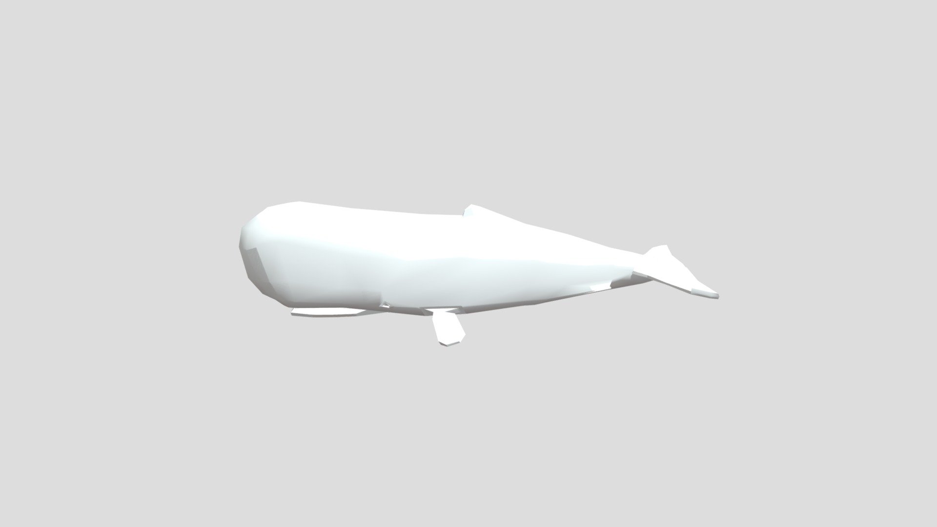 Whale fish - Download Free 3D model by stmmdd2023 [66b96d9] - Sketchfab