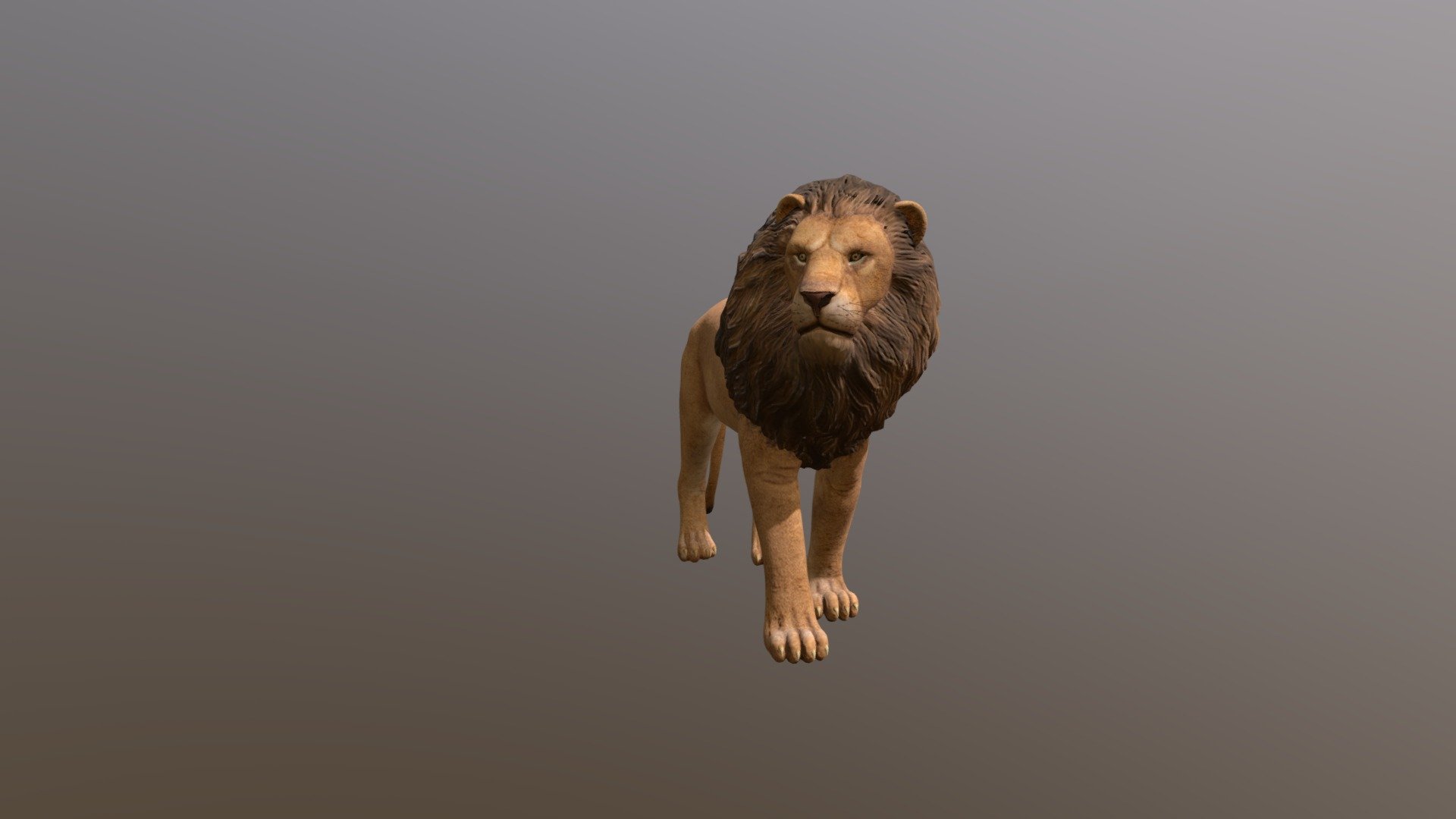 Lion - Download Free 3D model by kenchoo [66be325] - Sketchfab