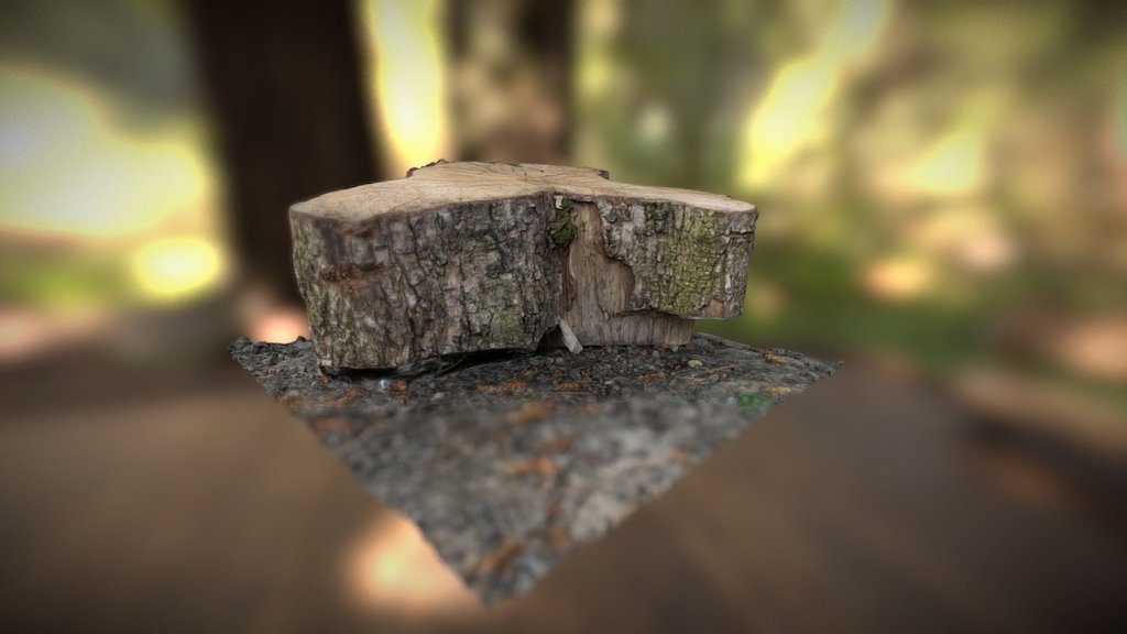 My First Photogrammetry - 3D model by Jamie Smallwood (@jamiesmallwood ...