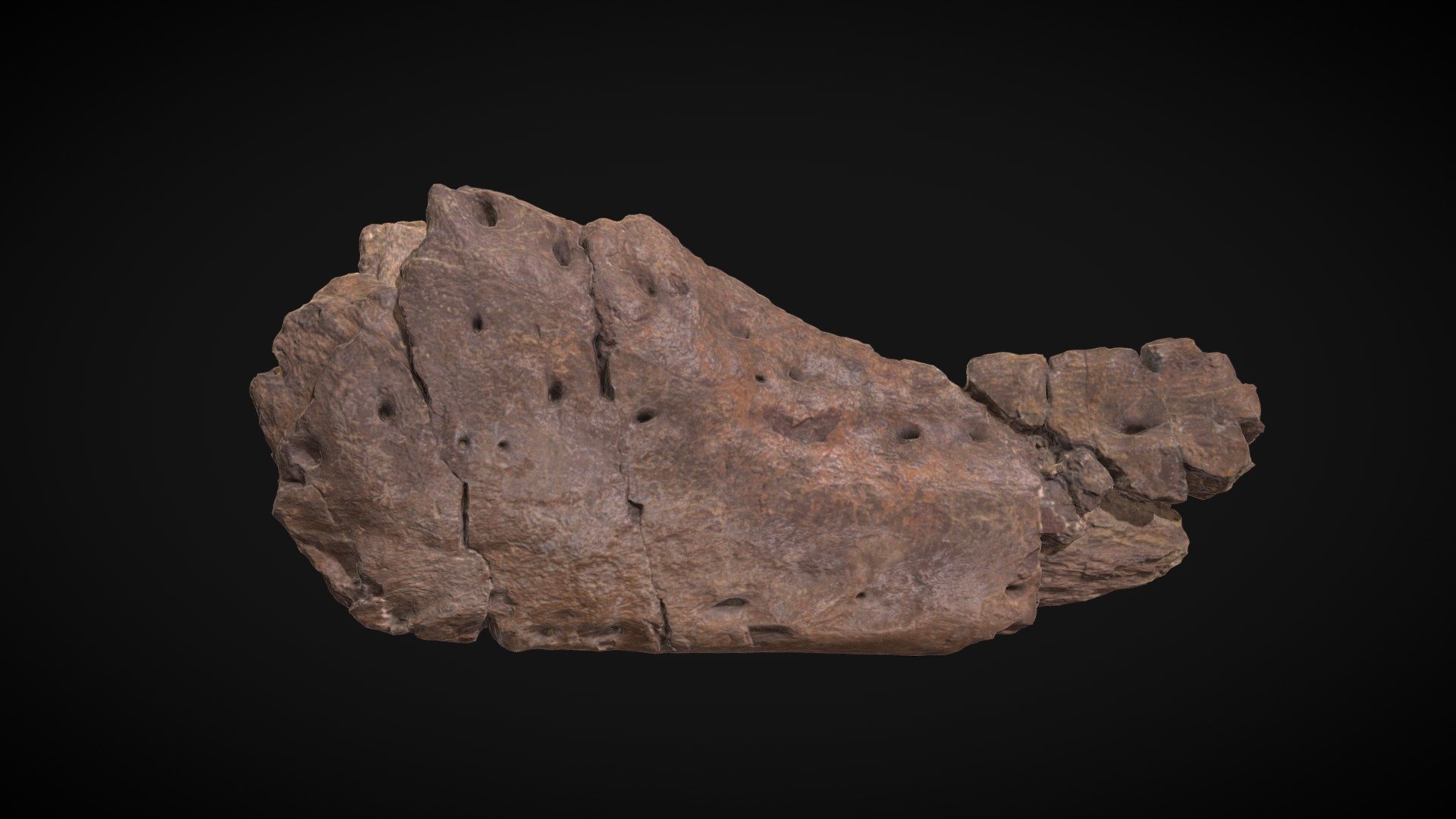 Dentario de Iberospinus natarioi - 3D model by PaleoGaliciaVirtual ...