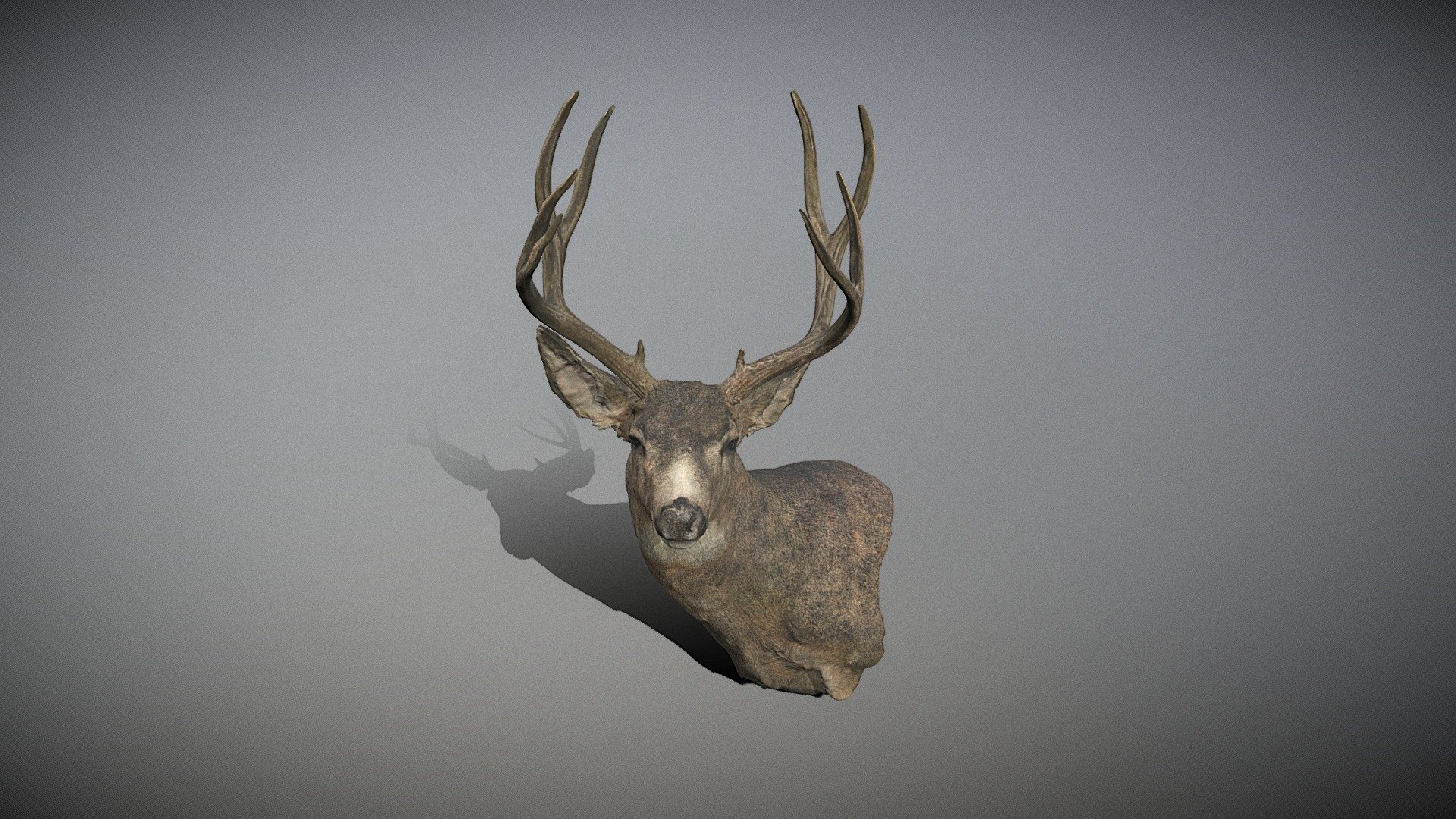 Jed Beckstead Vernon Buck - 3D model by PeakReplicas [66cdf7e] - Sketchfab