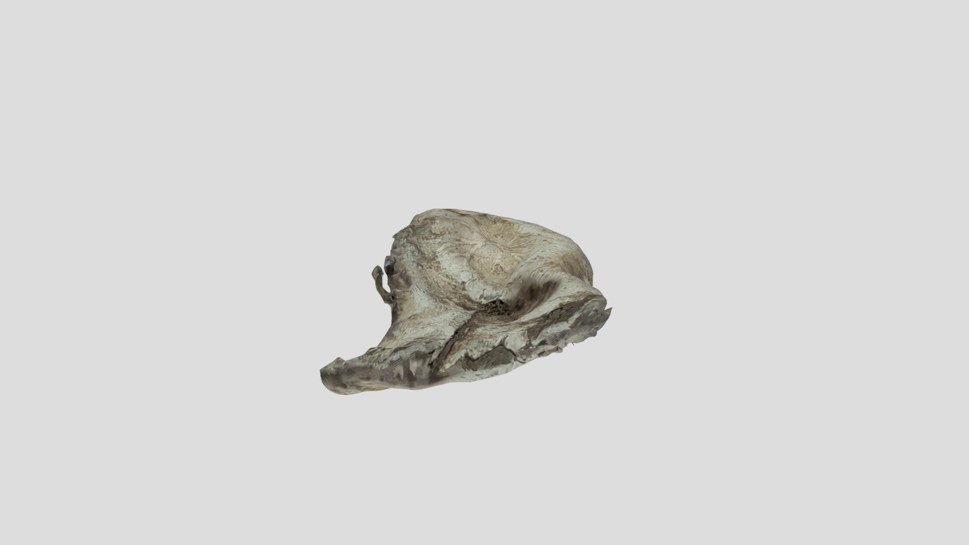 Wmid-cf6b5f - Medieval Ampulla - Download Free 3D model by The ...