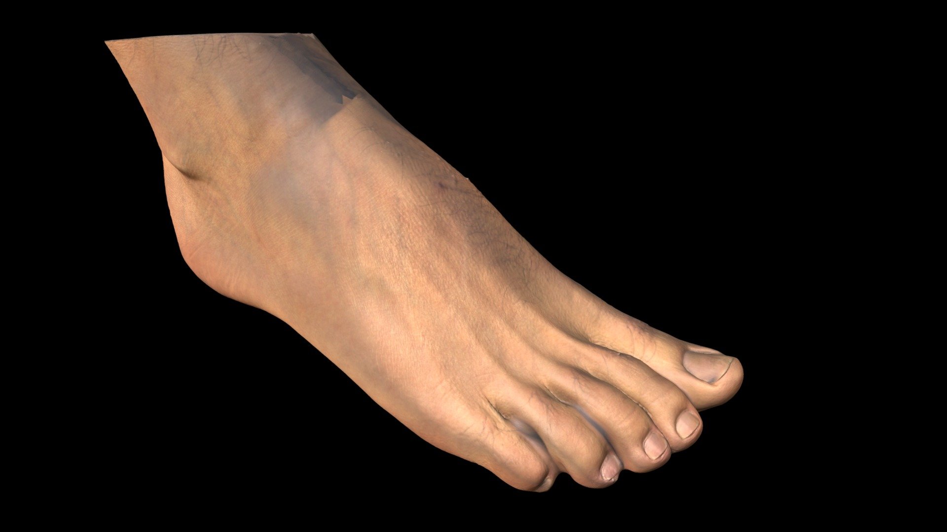 My Foot - Buy Royalty Free 3D model by kevjumba (@kevinmullin99 ...