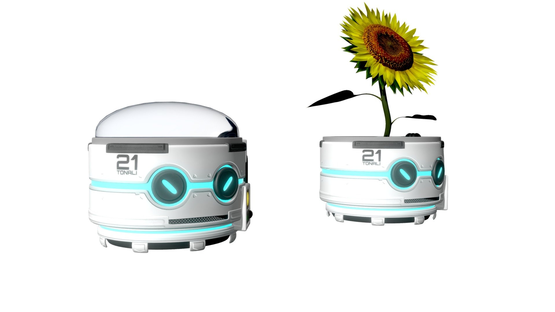 TonaliSketchfabScene - 3D model by Edyno Estudio (@edynoestudio ...