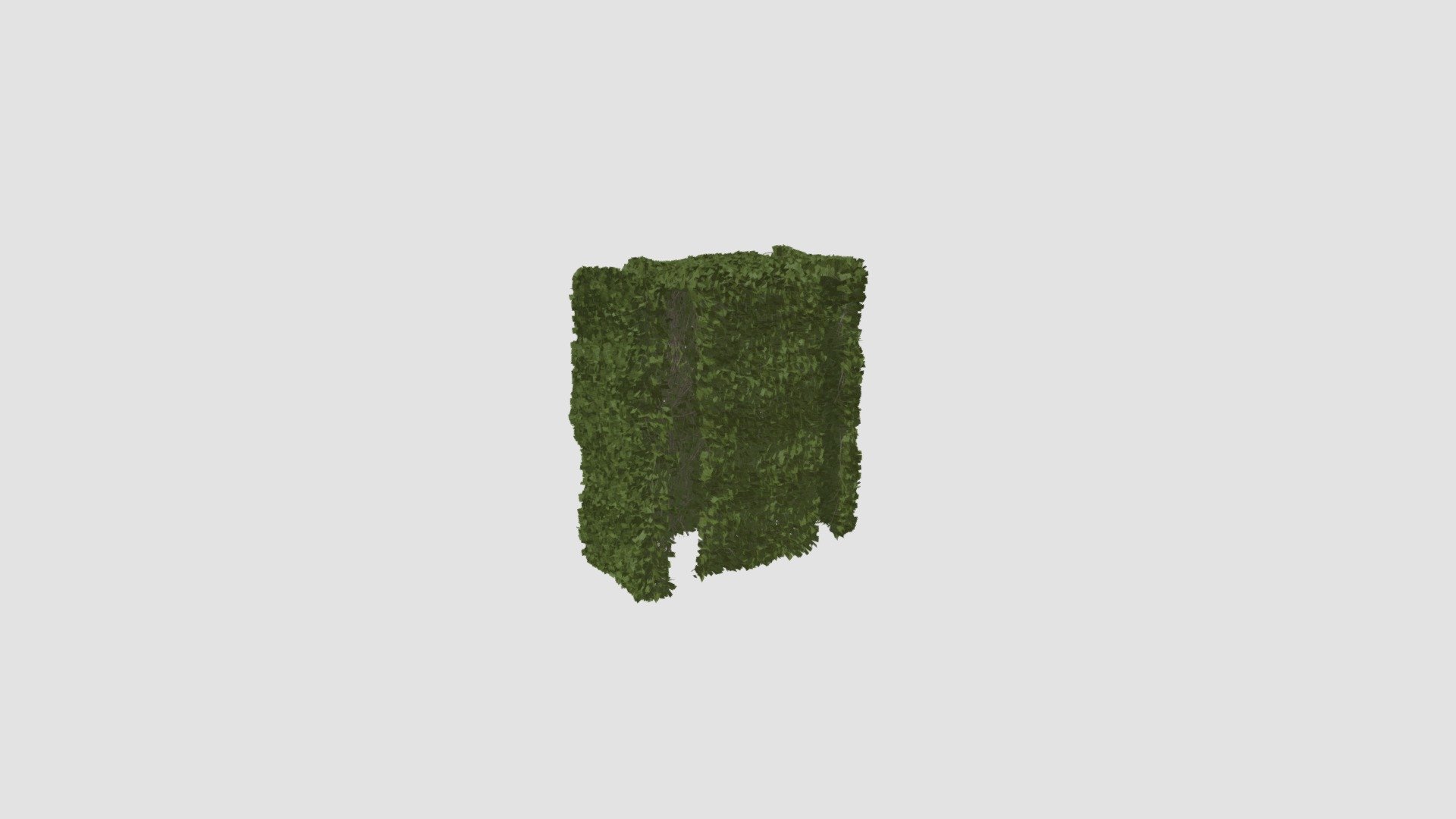 hedge - Buy Royalty Free 3D model by Evermotion [66e4929] - Sketchfab Store