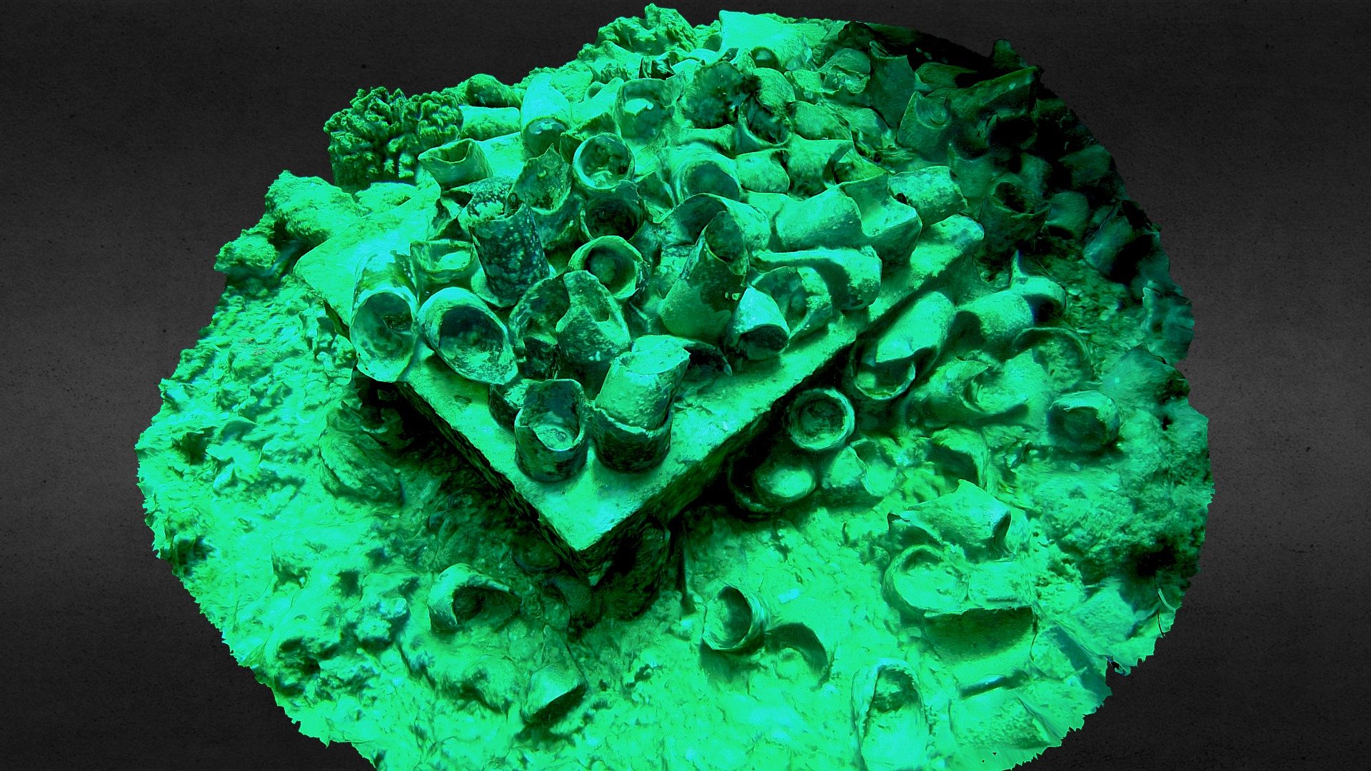 SS Carnatic wreck | Wine bottles - 3D model by Nick Mason Archaeology ...