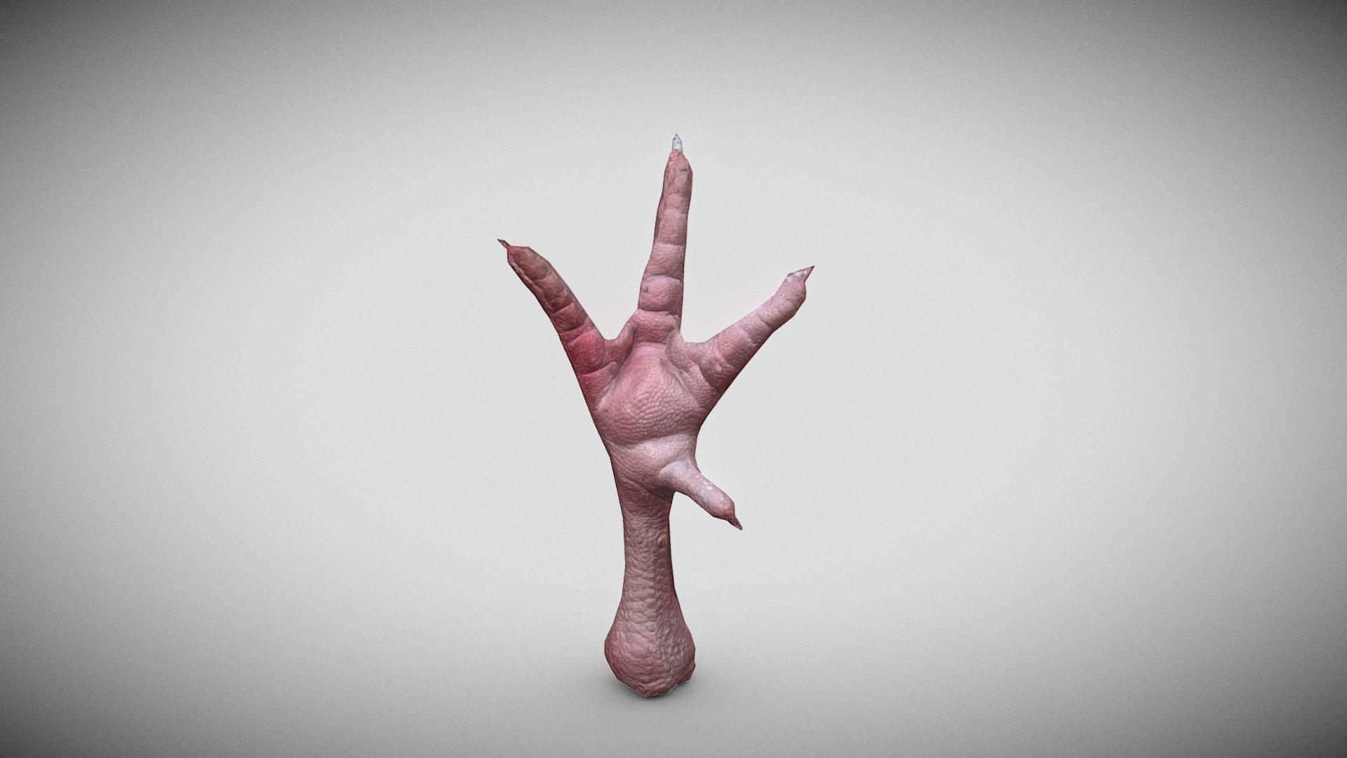 Chicken Feet Lod0 - Buy Royalty Free 3D model by Mantas Talmantas ...