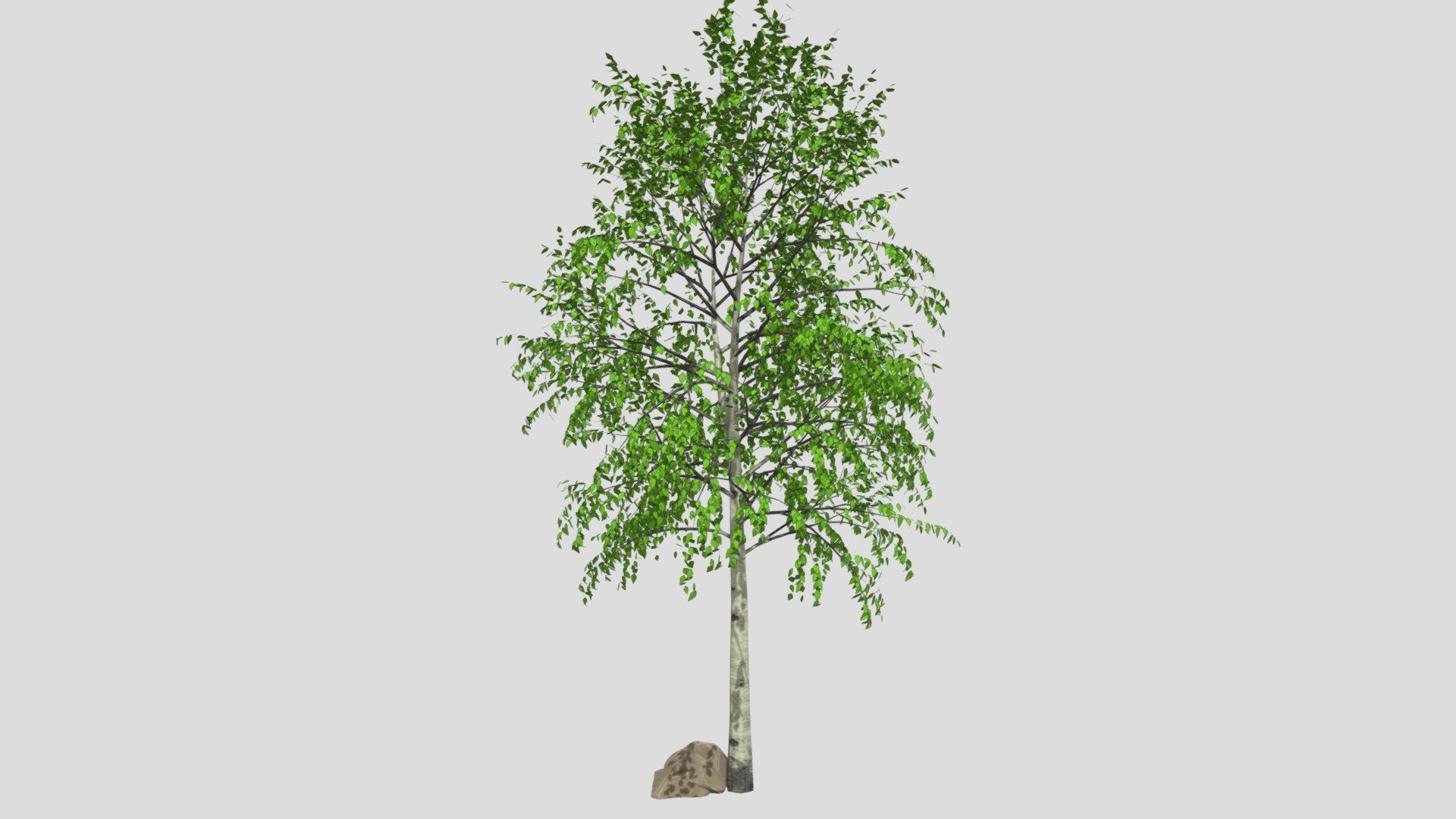 Firewatch Birch - 3D model by sherlykc [66f8a92] - Sketchfab
