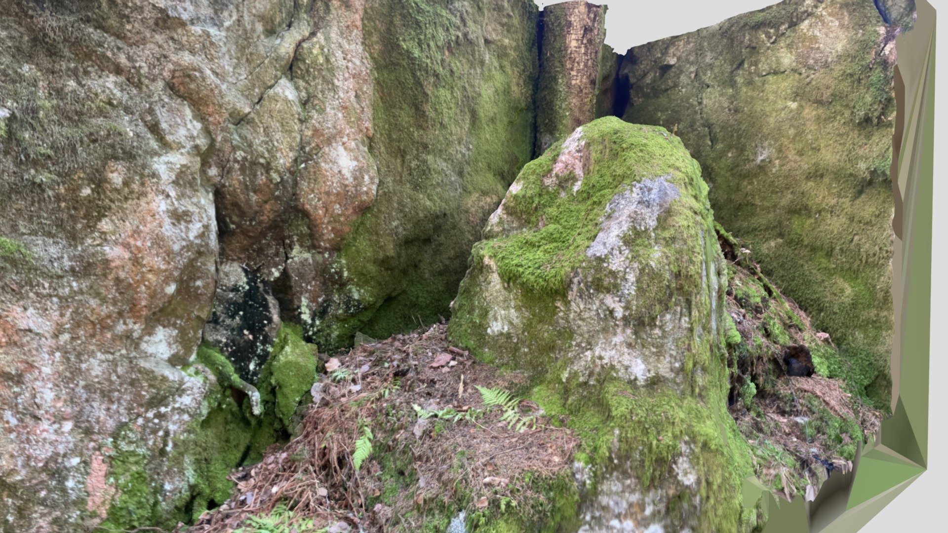 Cliff Wall - Forest - 3D model by Majzim [66f9272] - Sketchfab