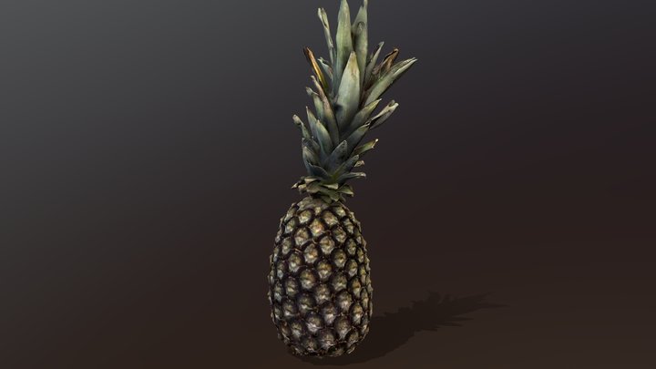 Pineapple 3D models - Sketchfab