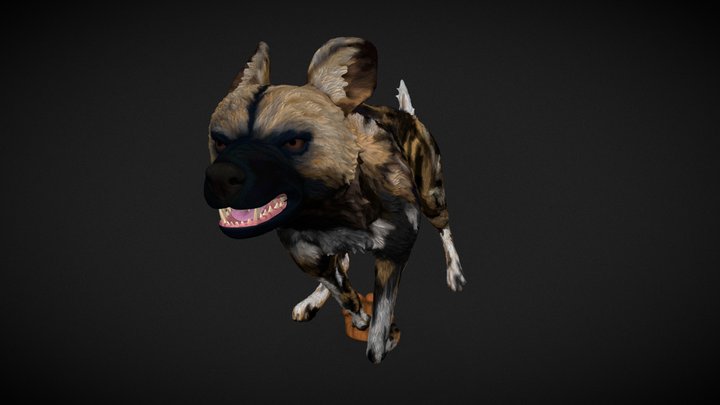 Lycaon 3D models - Sketchfab