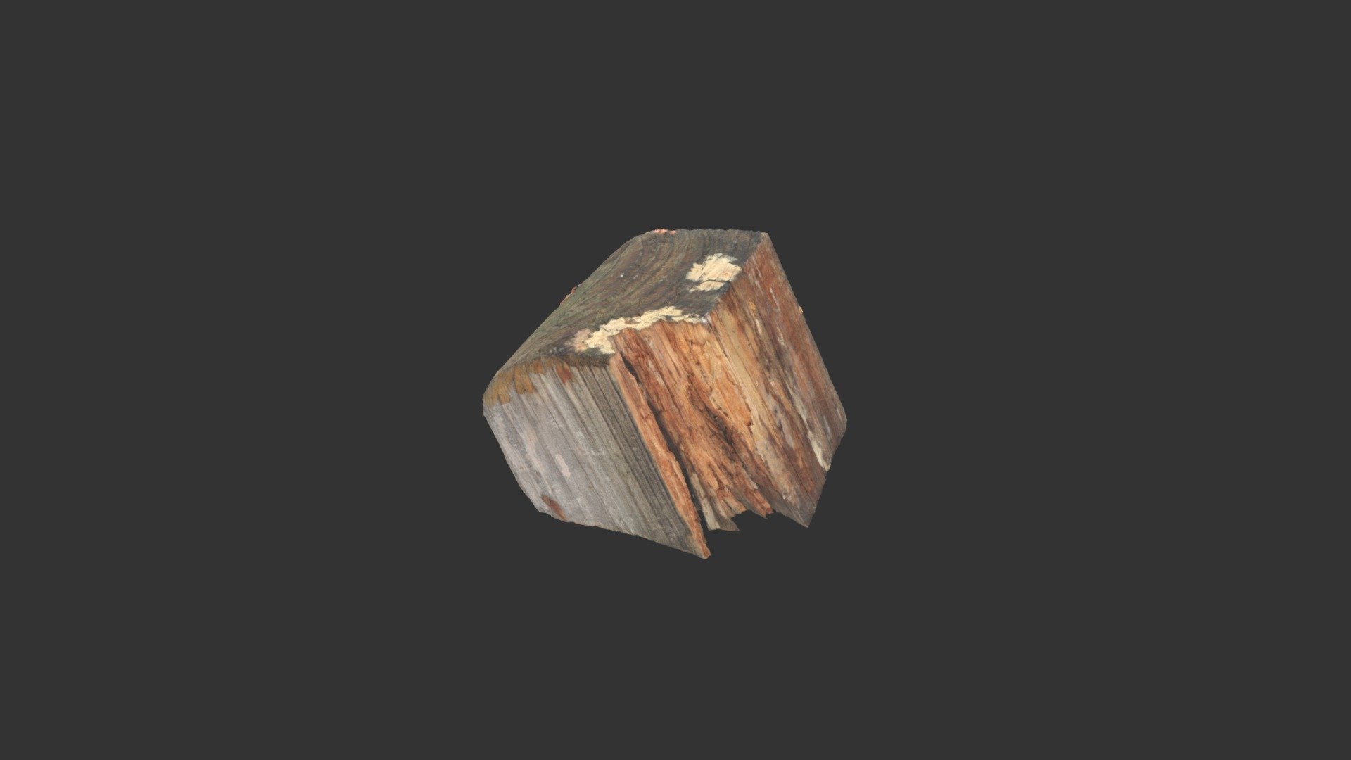 rotted wood - Download Free 3D model by Andykk (@andykwok91011 ...