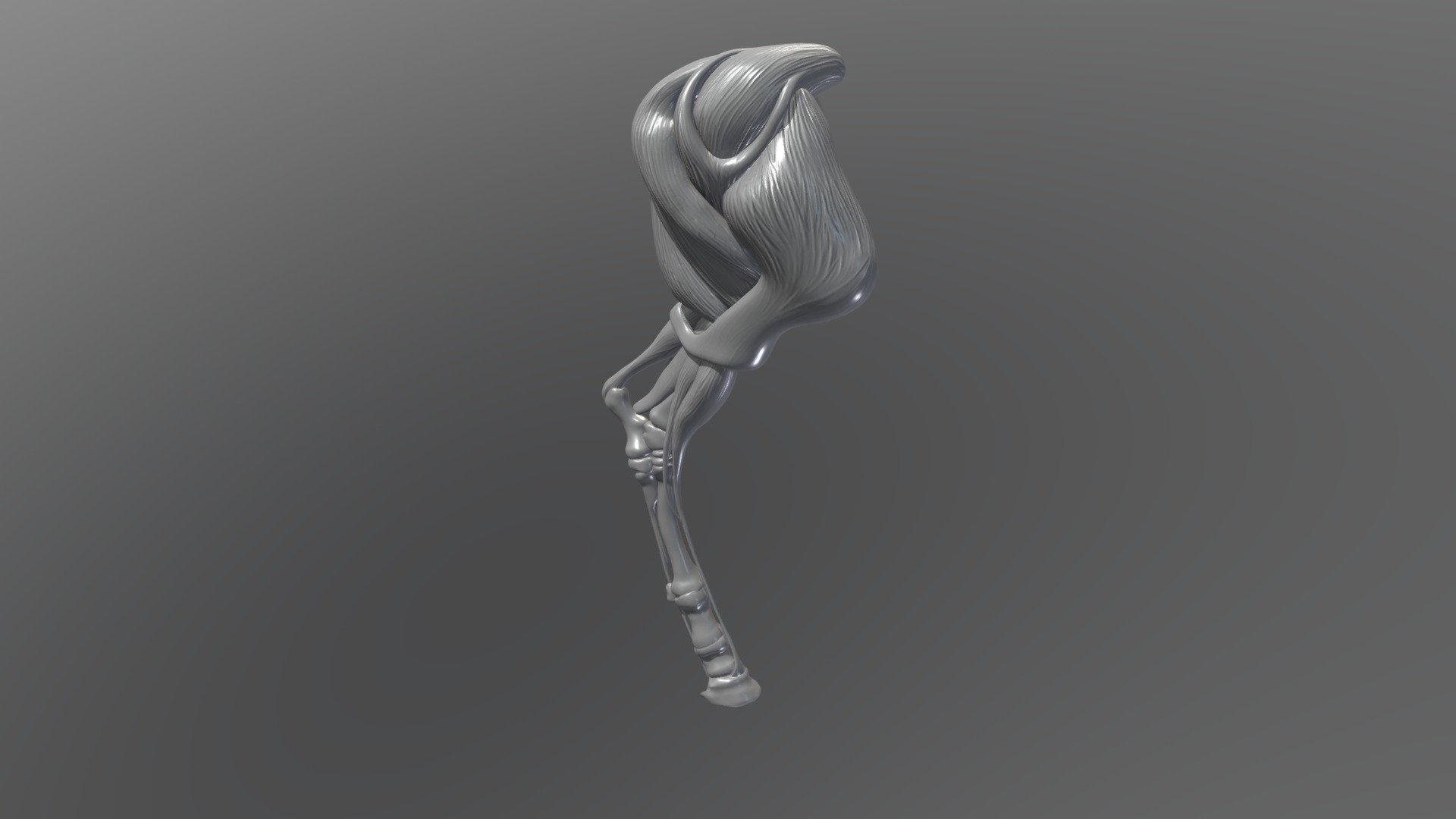 HorseLeg - 3D model by zs85 [670ea0a] - Sketchfab