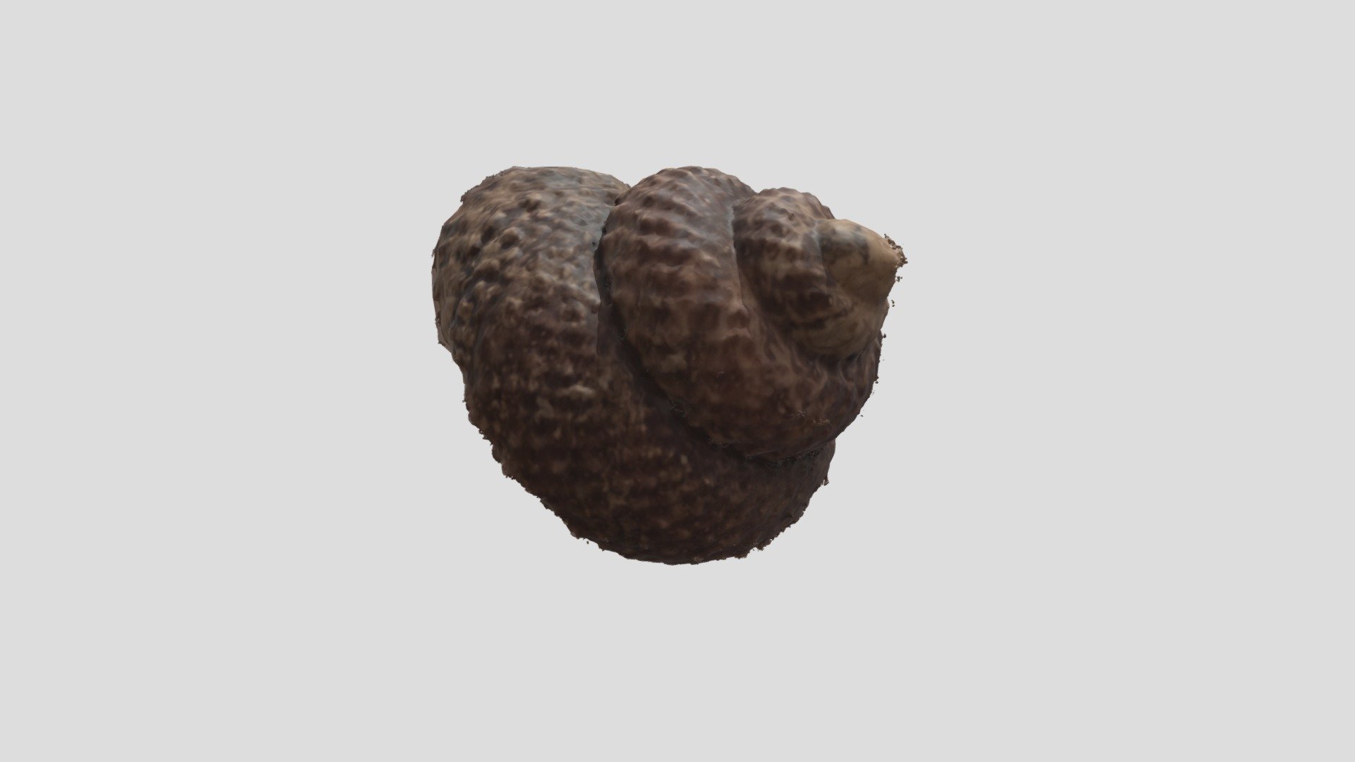 roundboi_mohammed_output - 3D model by mohammedmb [6711452] - Sketchfab