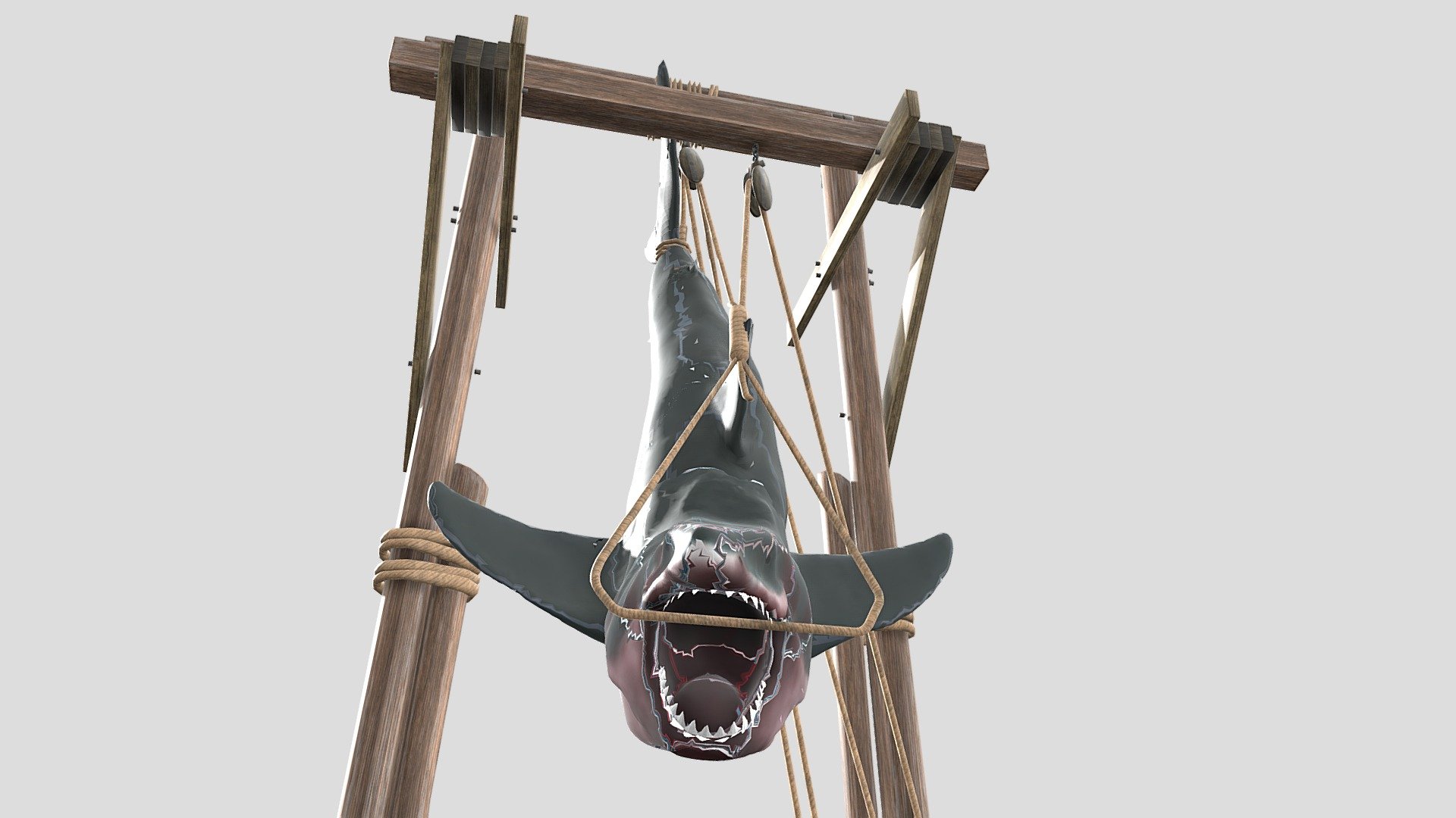 Universal Orlando Hanging Jaws Shark - Download Free 3D model by ...