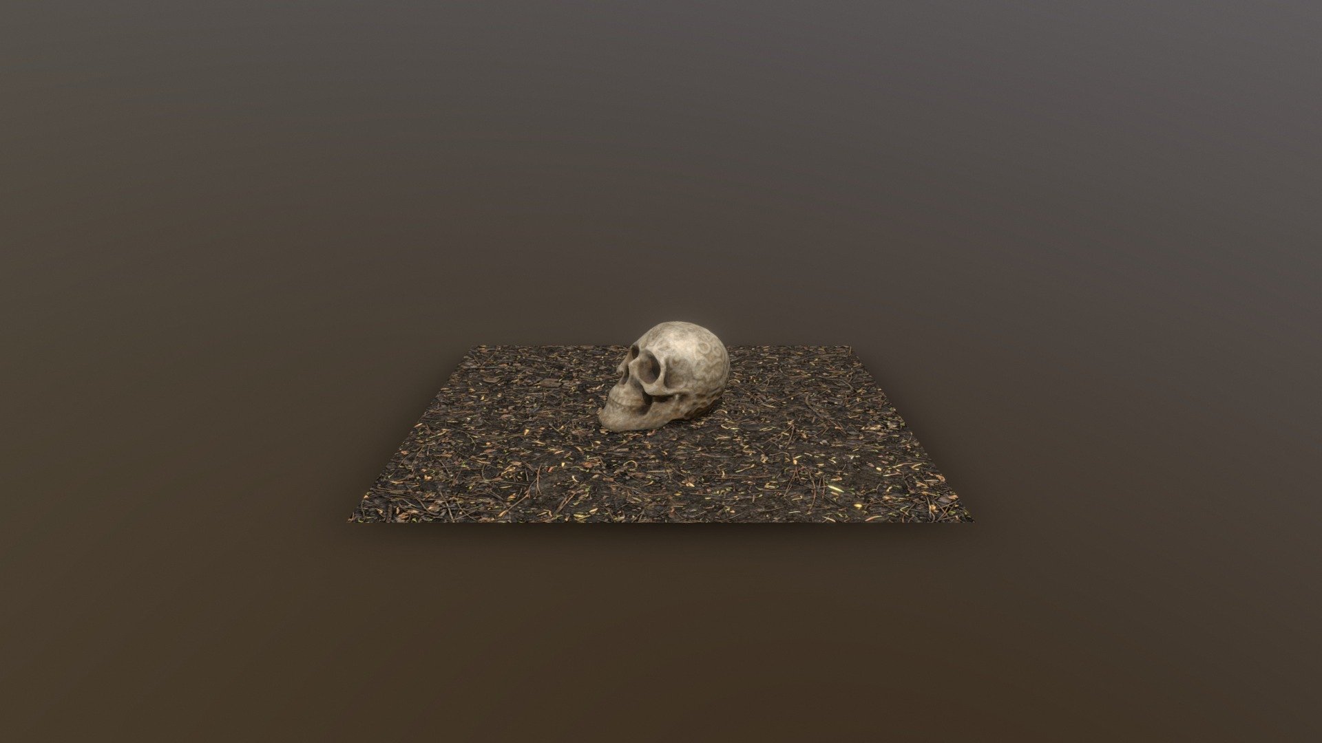 Ornamental Skull | Photogrammetry - 3D model by YellowBrick3d [671ddef ...
