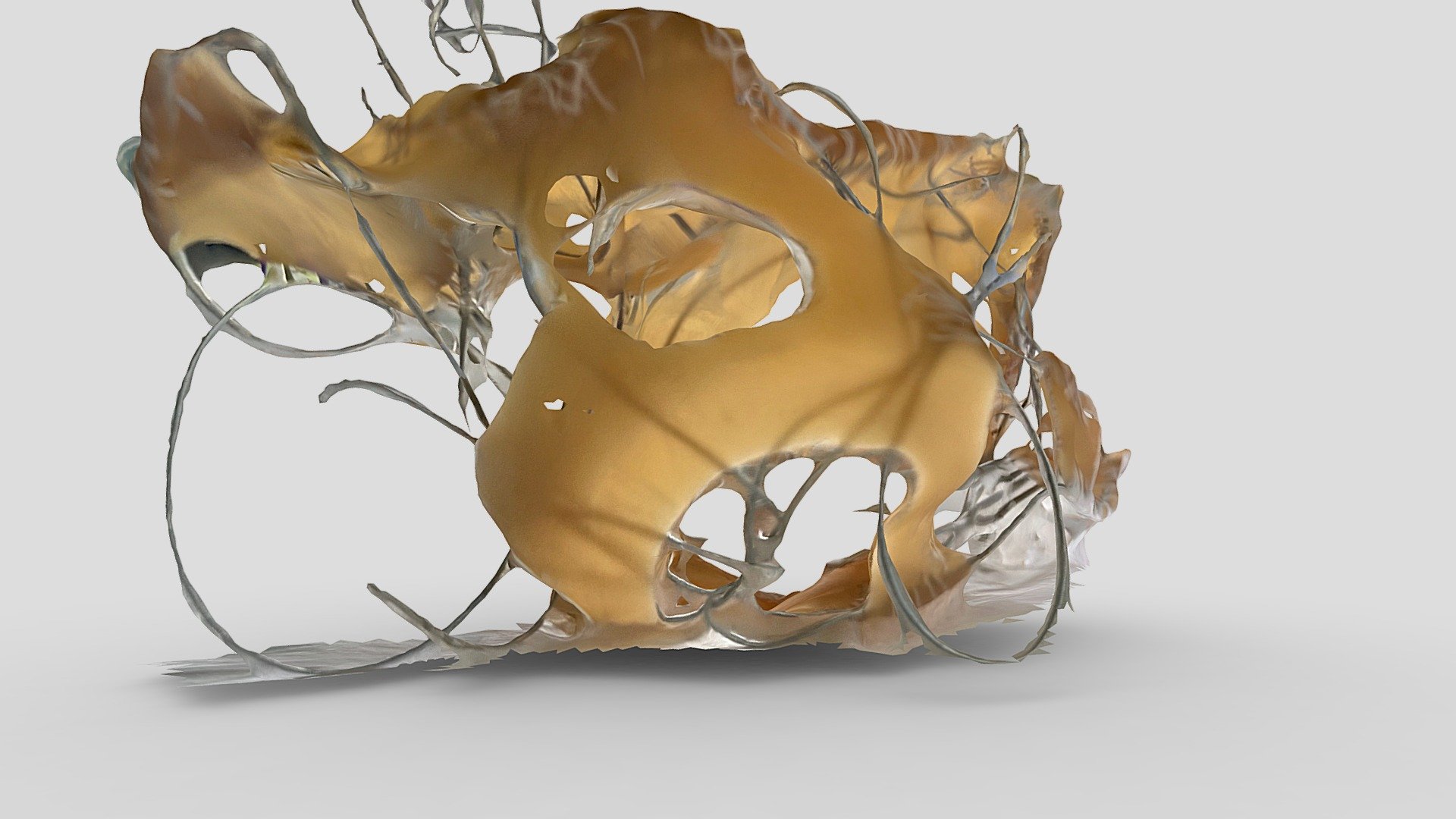 Skin 2 - Download Free 3D model by DigitalSkeletons (@Jenns0005 ...