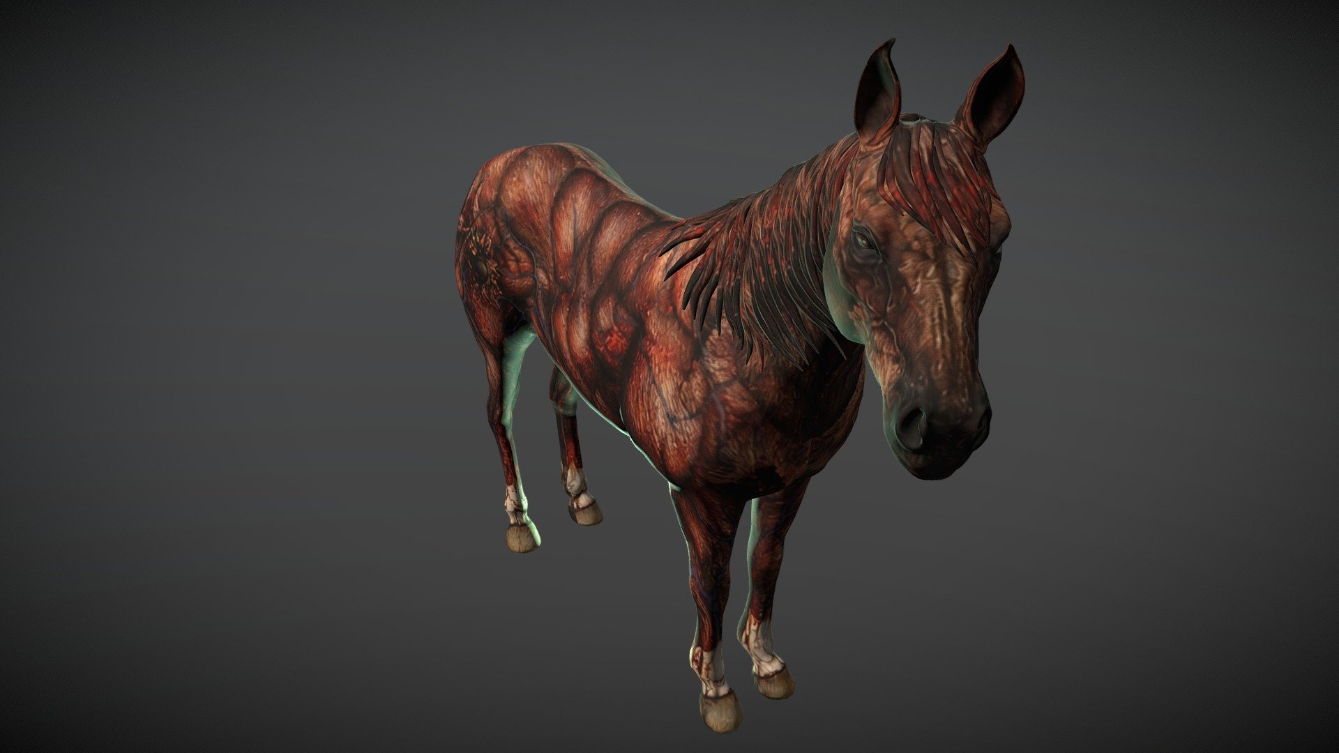 Realistic Zombie Horse - 3D model by Jason Lawson (@numonegames ...