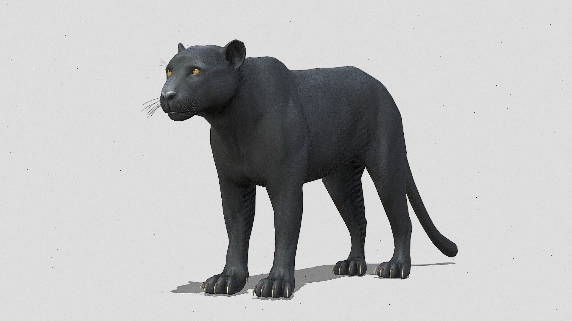 Panther Free 3D Model - 3D model by ₦₥₵ ฿₵ (@nmcbc) [672e298] - Sketchfab