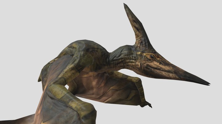 Pterosaur 3D models - Sketchfab