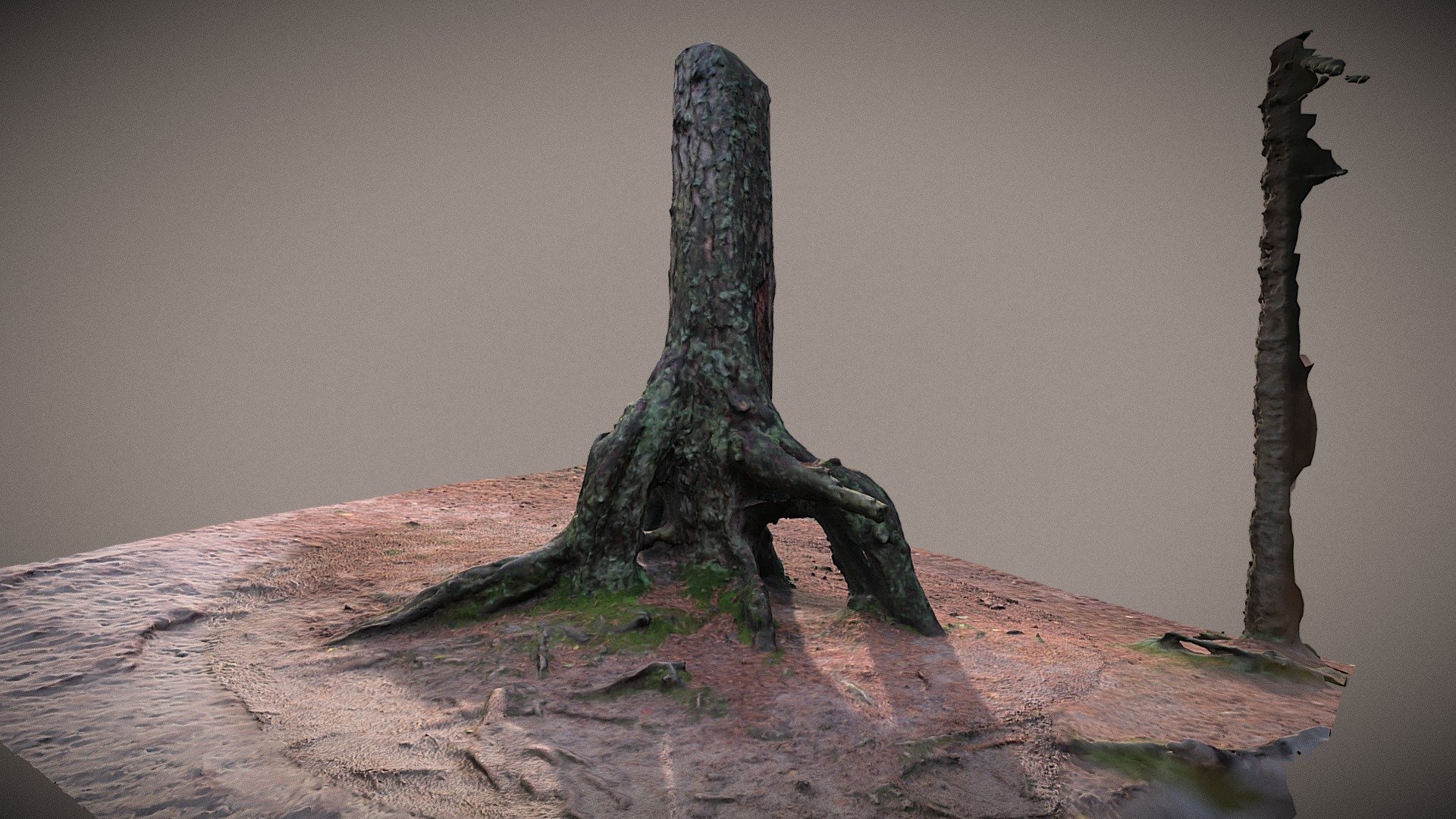 Kořeny / Roots - Download Free 3D model by Tomáš Musílek (@parleur ...