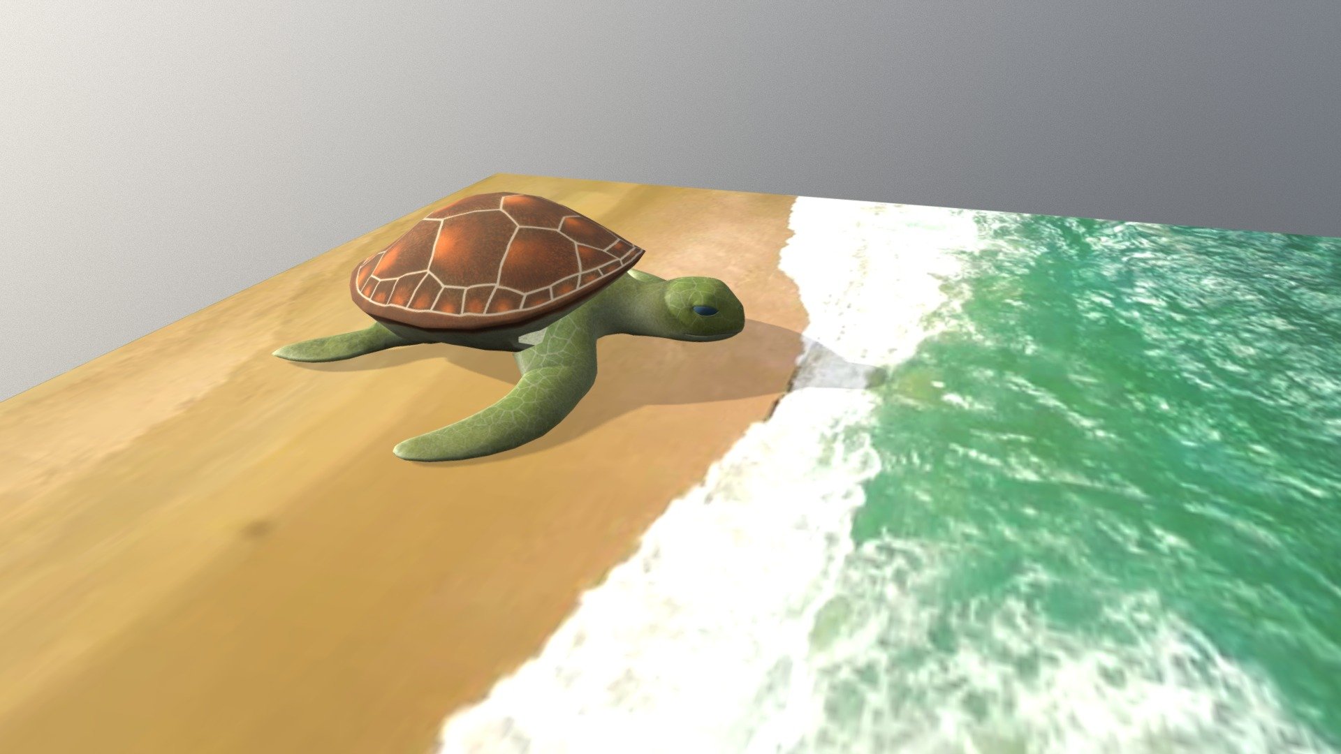 Turtle giveup - 3D model by ChrystelBuhler [67389c8] - Sketchfab