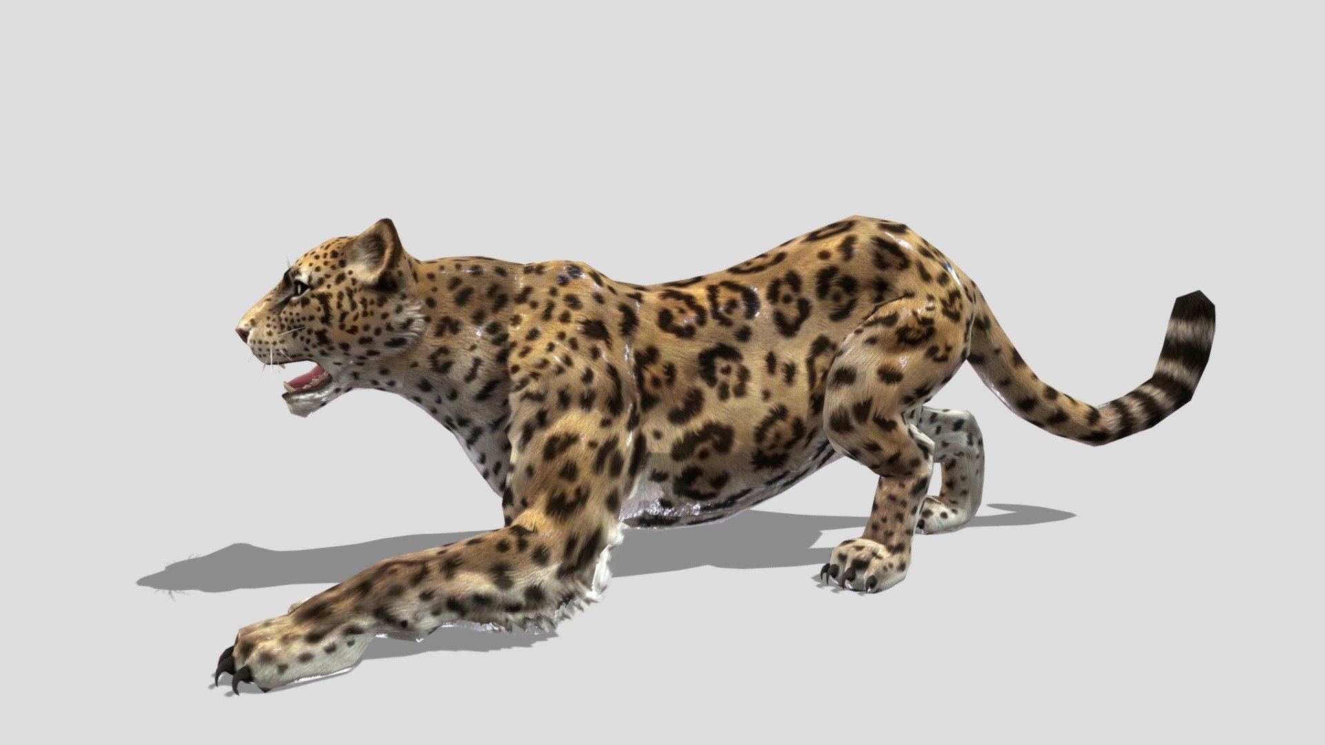 Jaguar – Stylized Animated 3D Model - Download Free 3D model by ...