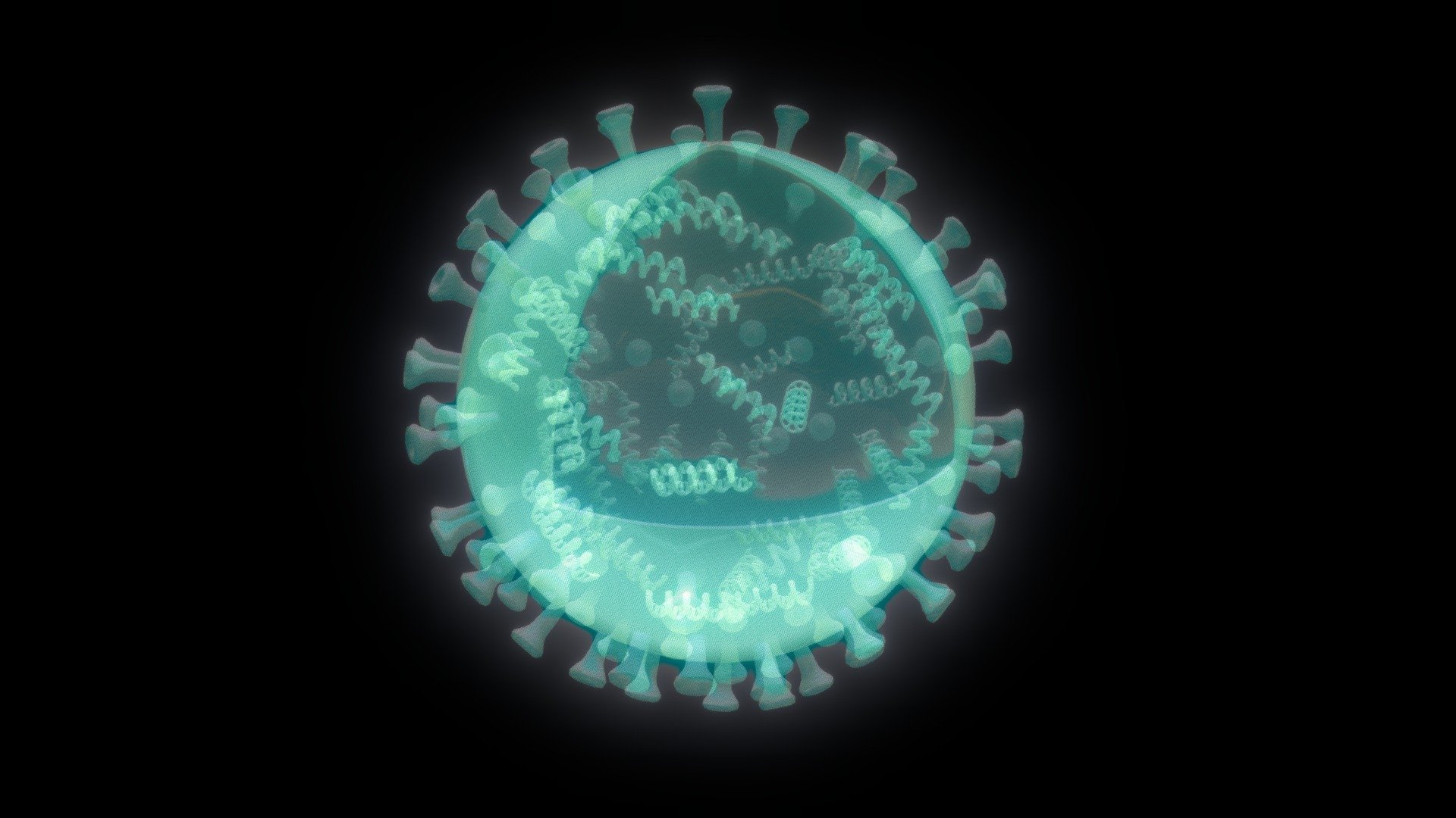 Virus Cross-Section - Buy Royalty Free 3D model by PARSONSARTS ...