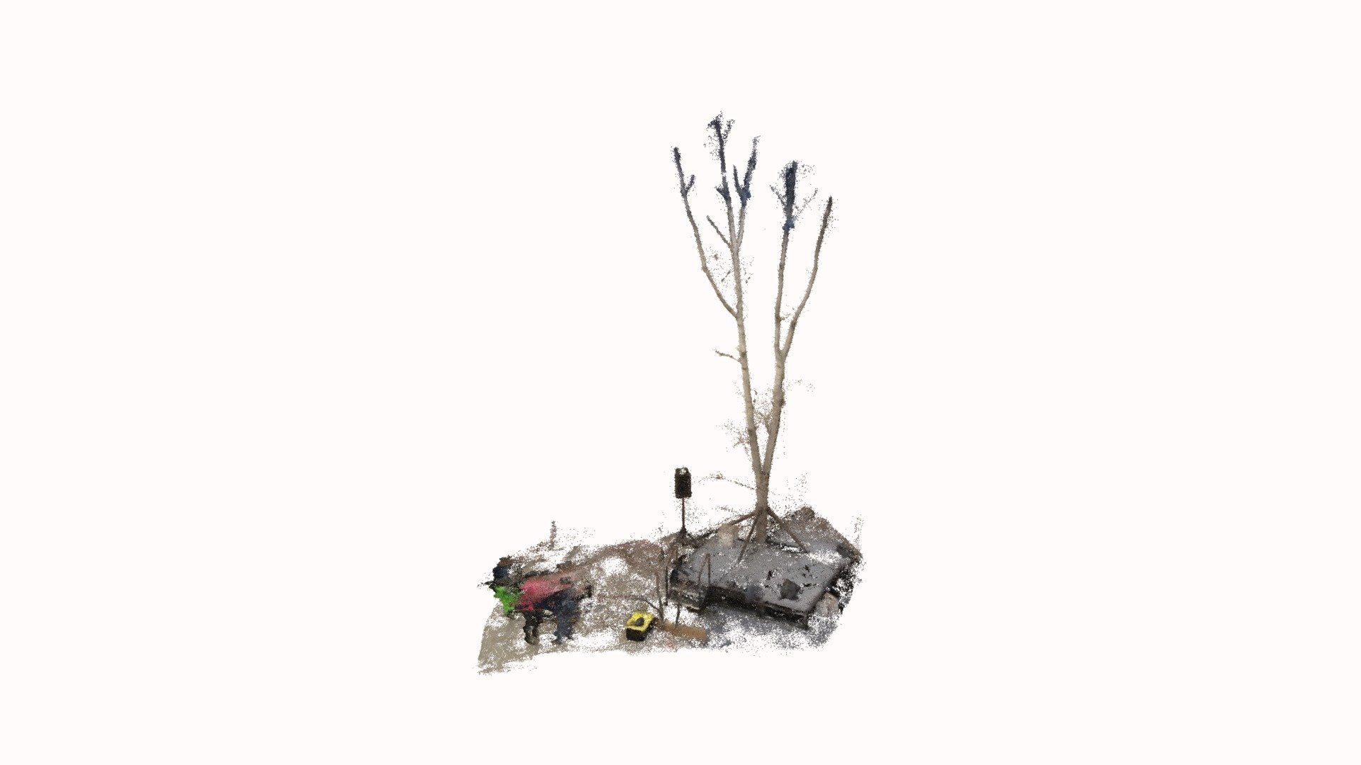 Demo Tree - 3D model by Aerial Arborist Innovations ...