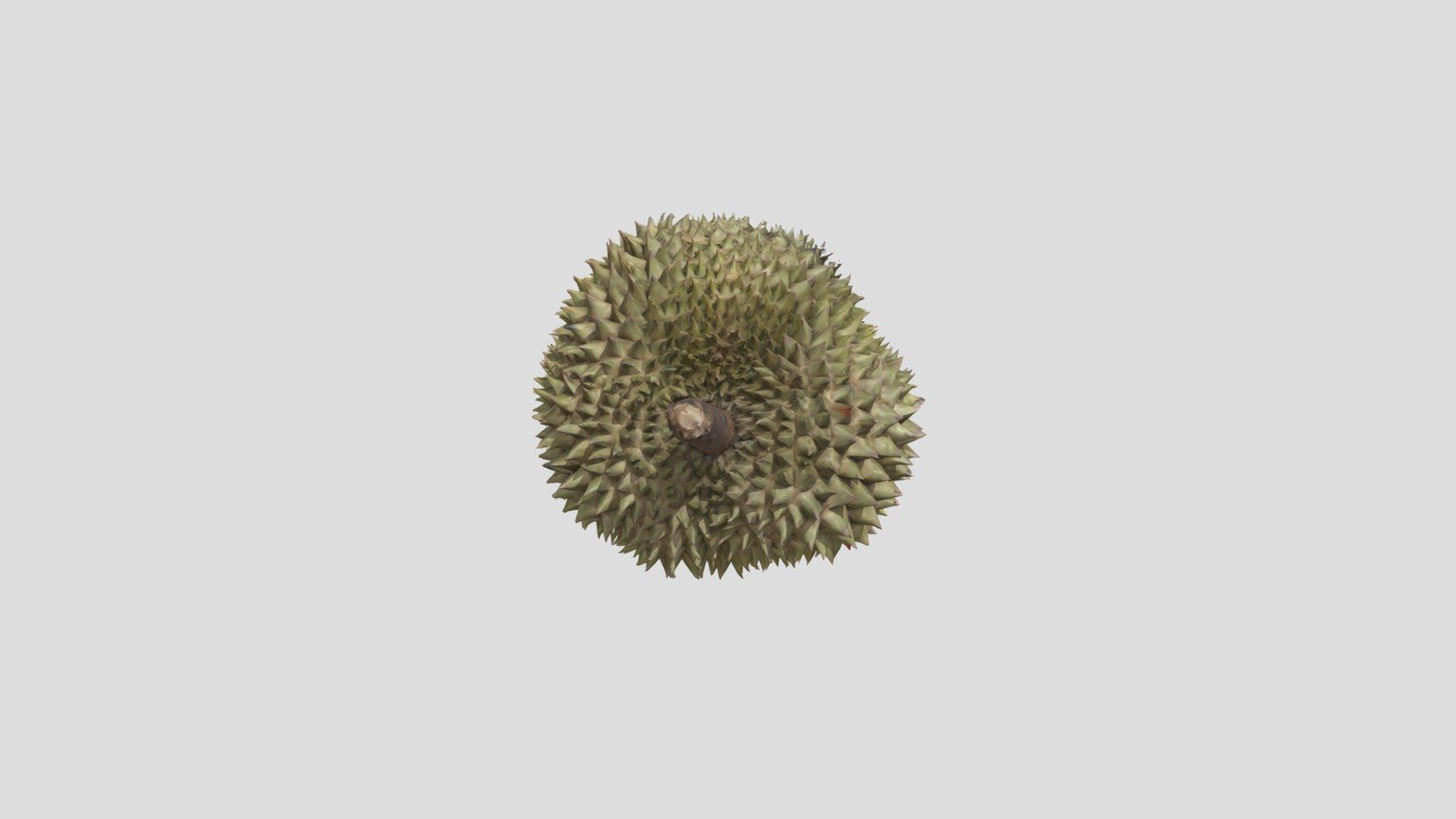 Durian - 3D model by geoRÄISE (@georaise) [67402a4] - Sketchfab