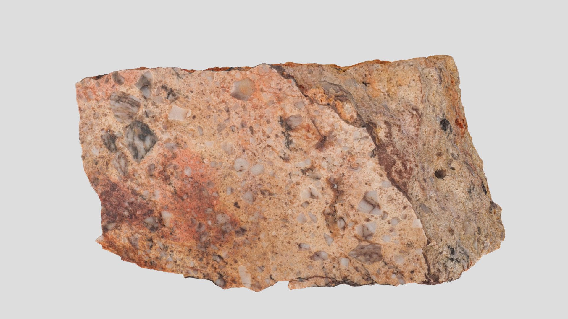 New Jena specimen No 13 - Download Free 3D model by Marko Vrabec ...