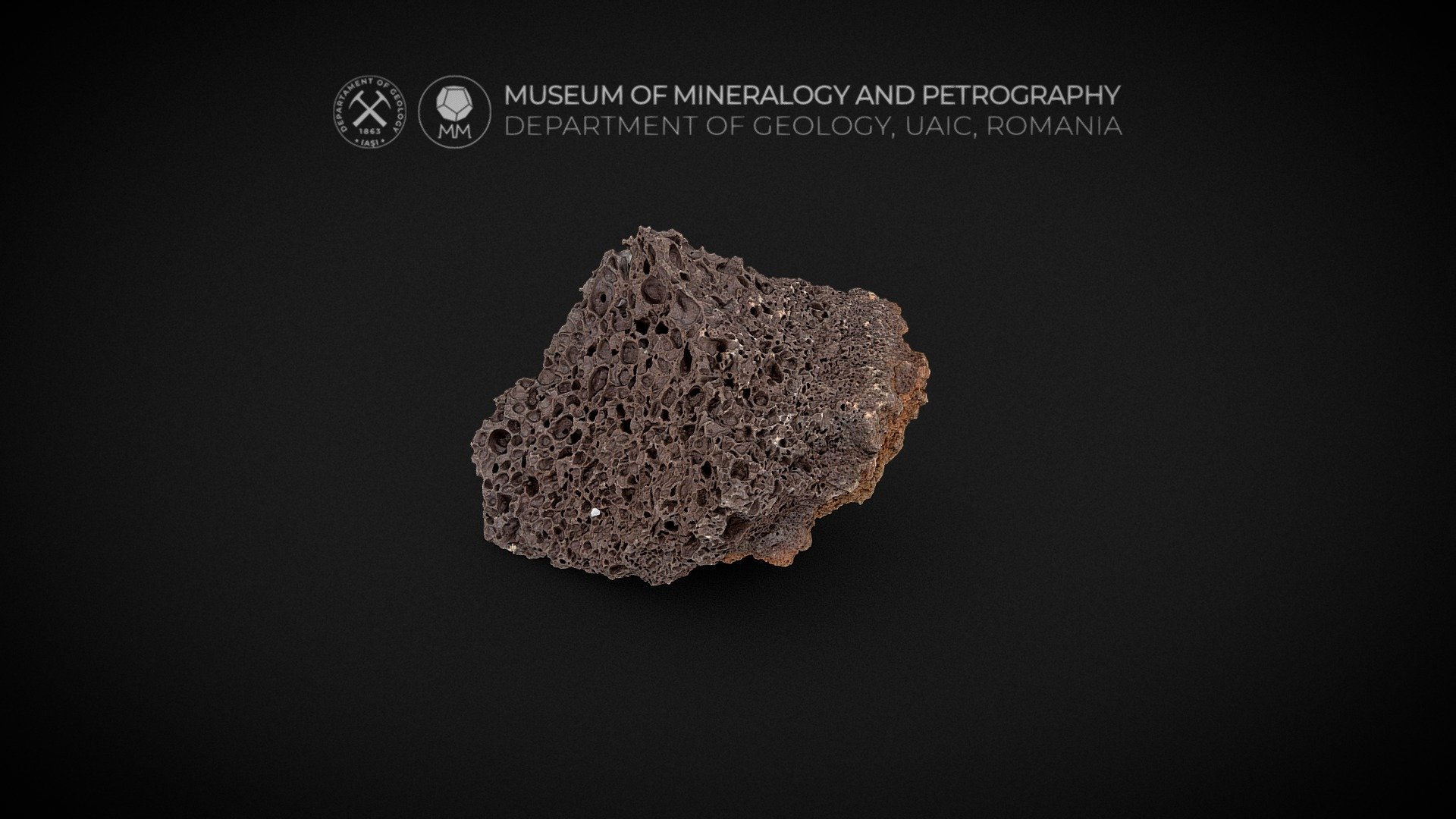 Highly vesicular basaltic Scoria (igneous rock) - 3D model by Museum of ...