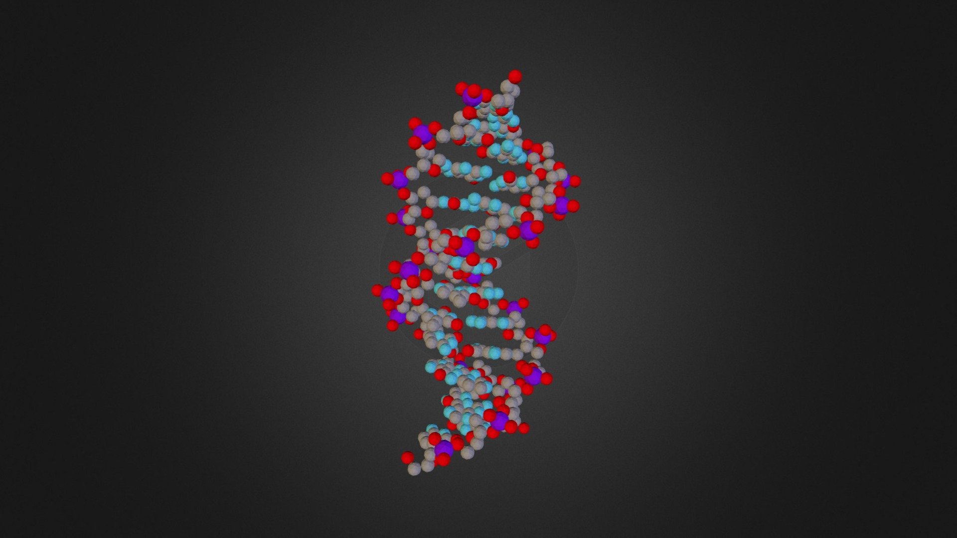DNA - 3D model by sarahkatemann [675ca4c] - Sketchfab