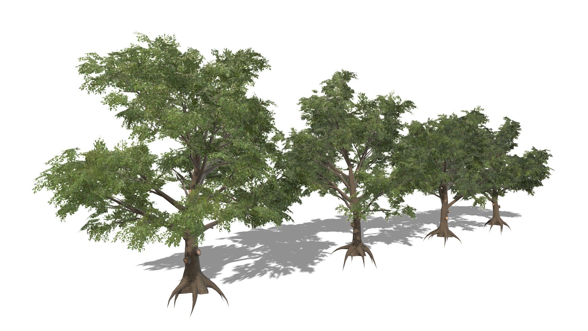 Broadleaf Trees - 3D model by Studio Lab (@studiolab.dev) [6760729 ...