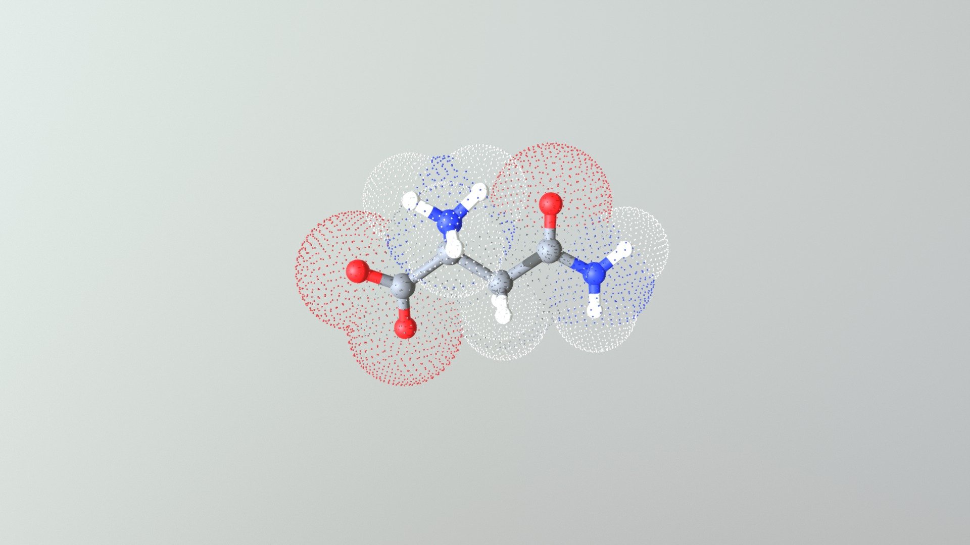 Asparagine - 3D model by Lukeshrew [67638aa] - Sketchfab