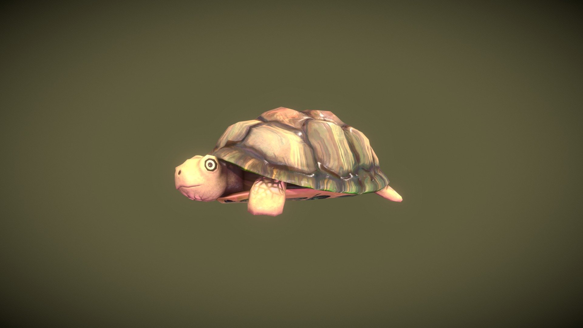 Stylized Turtle - 3D model by iamdshete [6766fd2] - Sketchfab