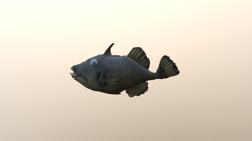 Fish Model - 3D model by aipal_nchu [6773e39] - Sketchfab