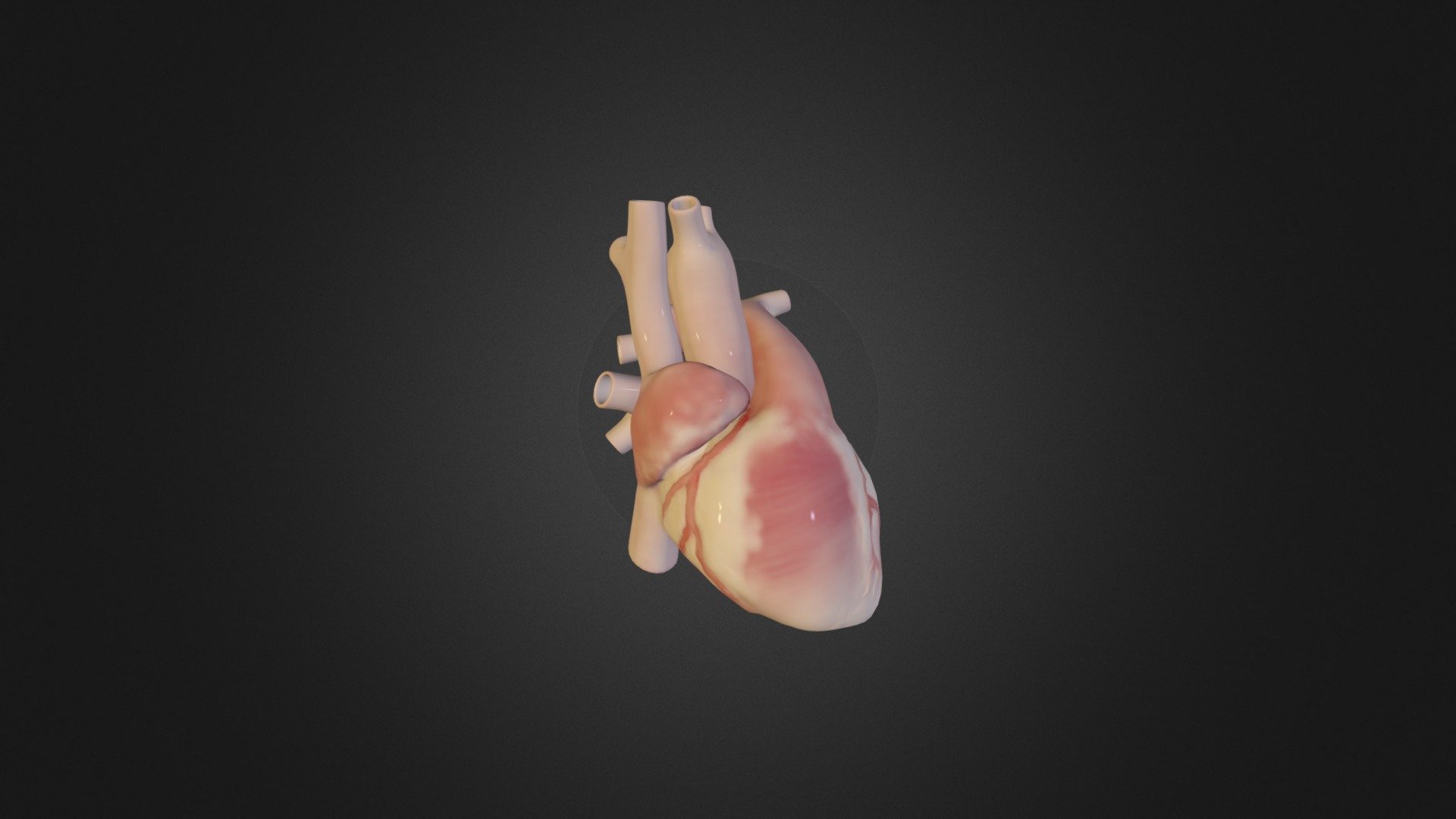 Heart Aqt - 3D model by Man-SanMa [6775fd8] - Sketchfab