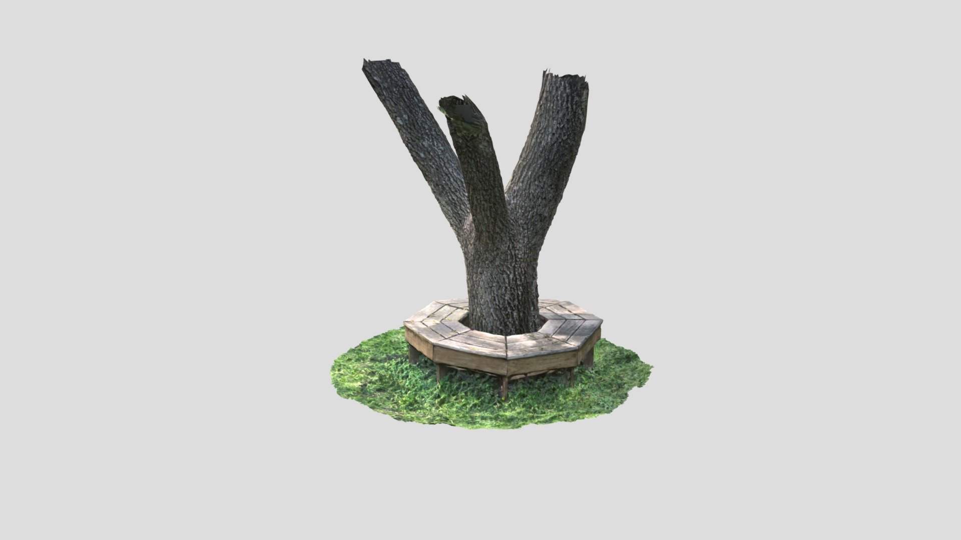 tree bench asset - 3D model by HOONdude (@hansolomellenbruch) [677855c ...