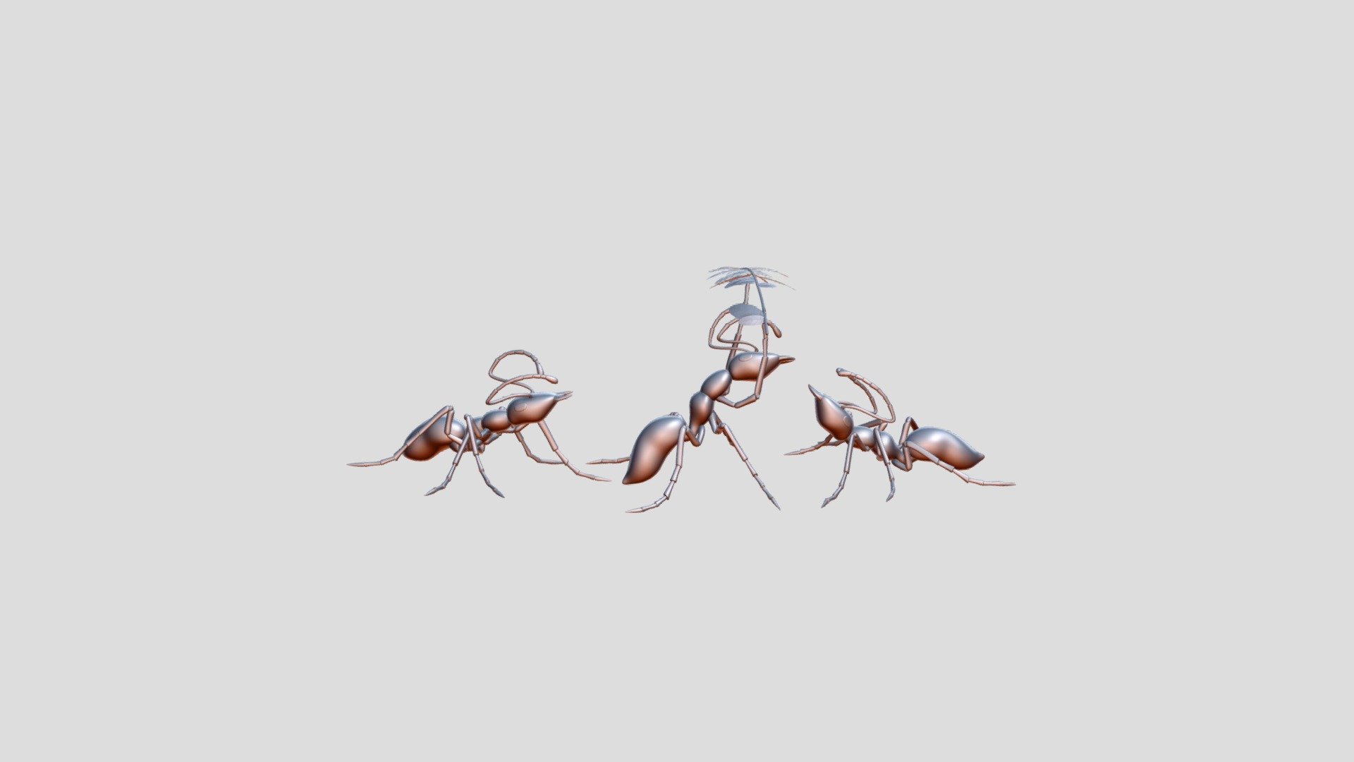 Ants - 3D model by 0ruty [67788a5] - Sketchfab