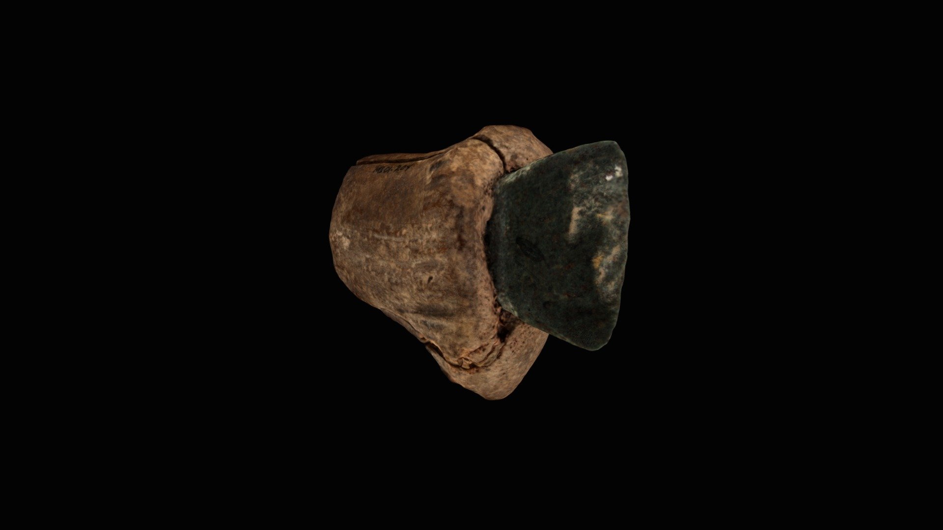 Stone Scraper Hafted Into Bone - 3D model by Nicolette Pegarsch ...
