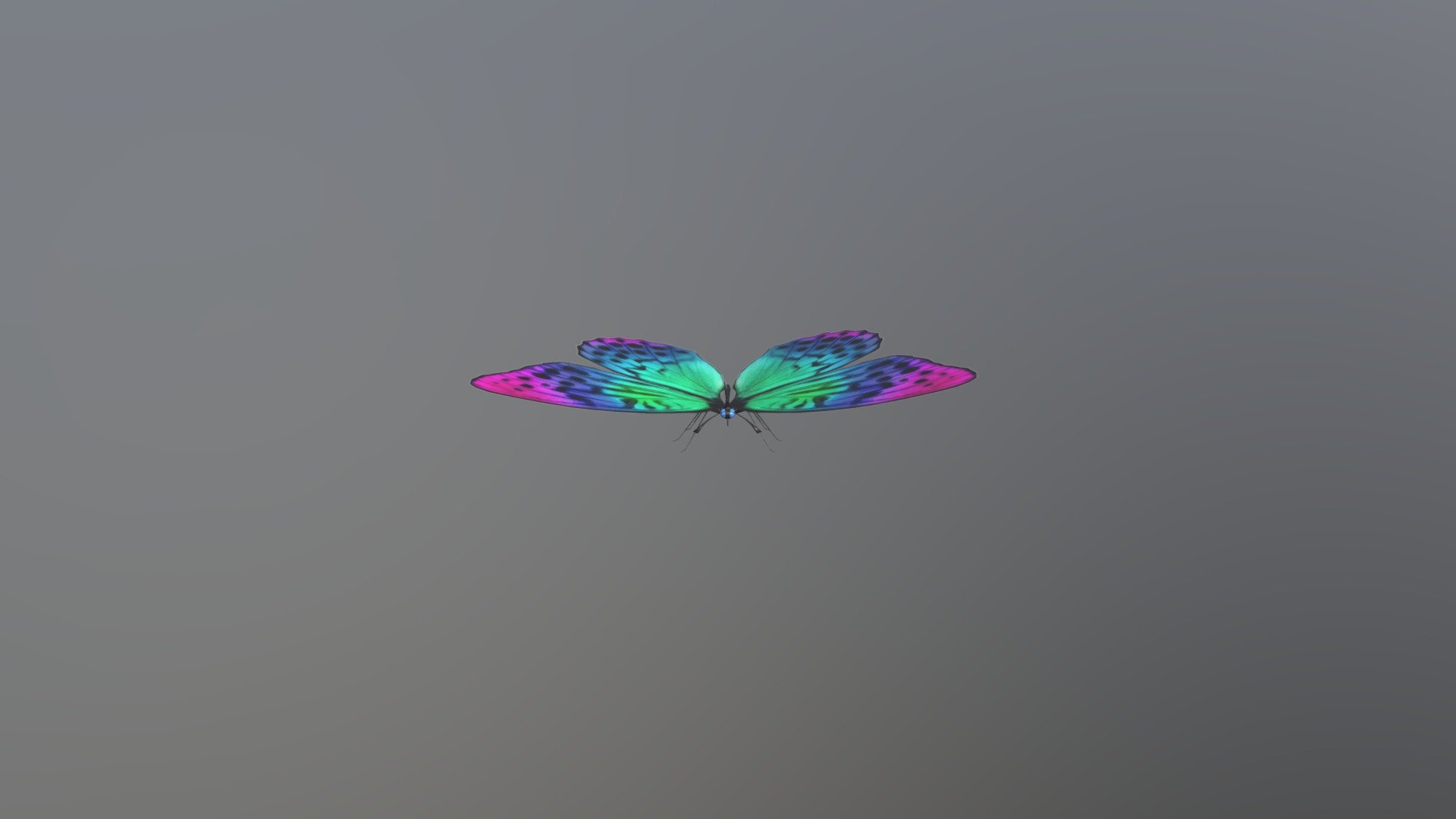 Butterfly - Download Free 3D model by kenchoo [67842e6] - Sketchfab