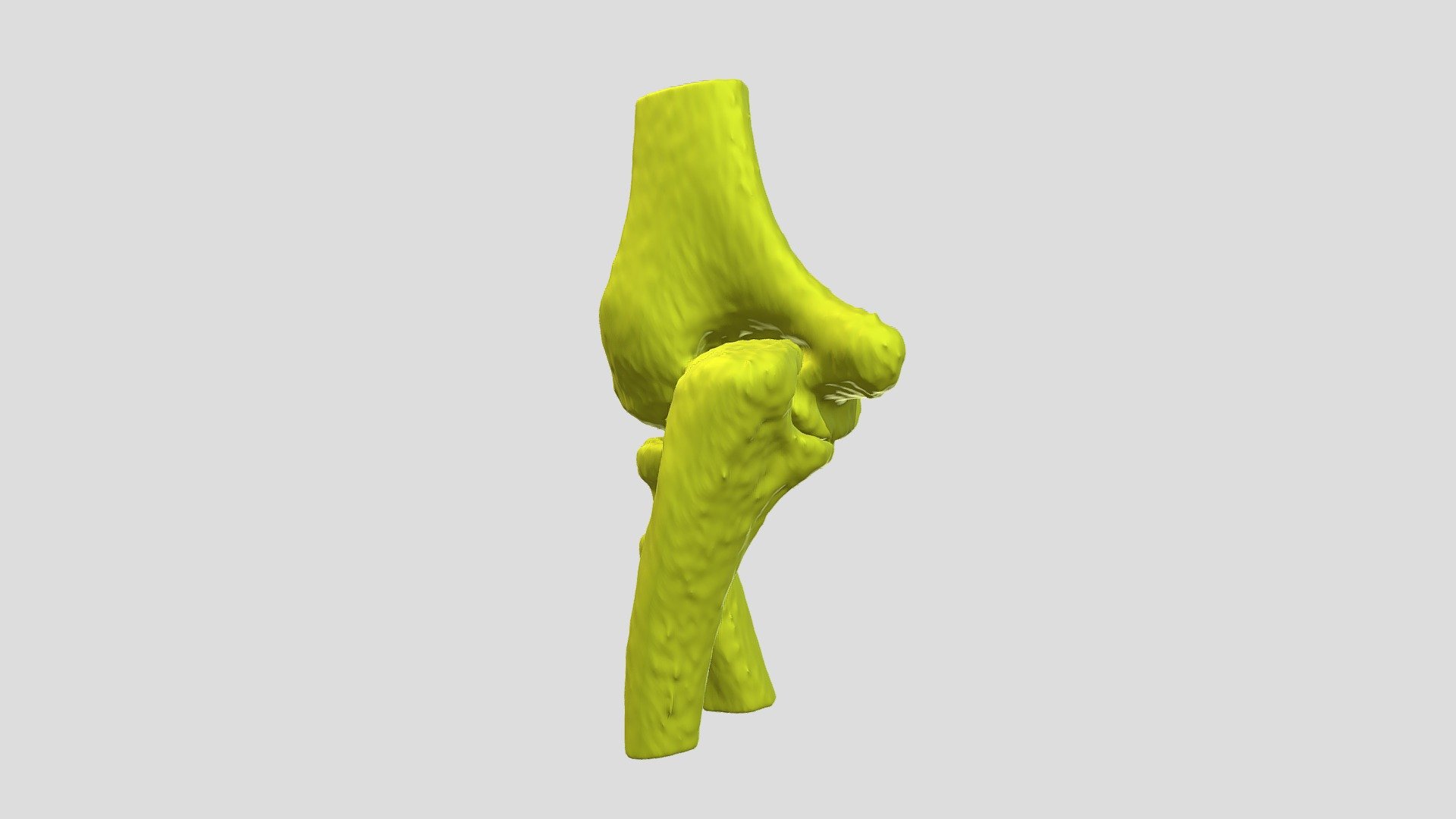 Segment_1 - 3D model by panghouying88 [678e226] - Sketchfab