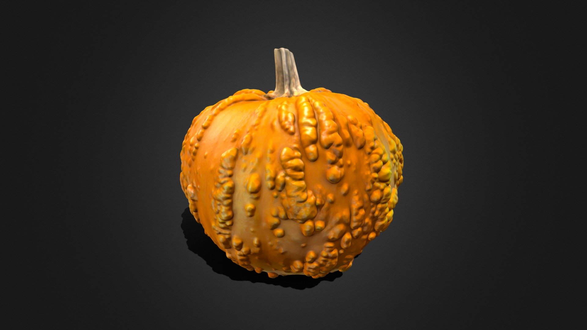 Warty Pumpkin - Download Free 3D model by svickers [6790d0d] - Sketchfab