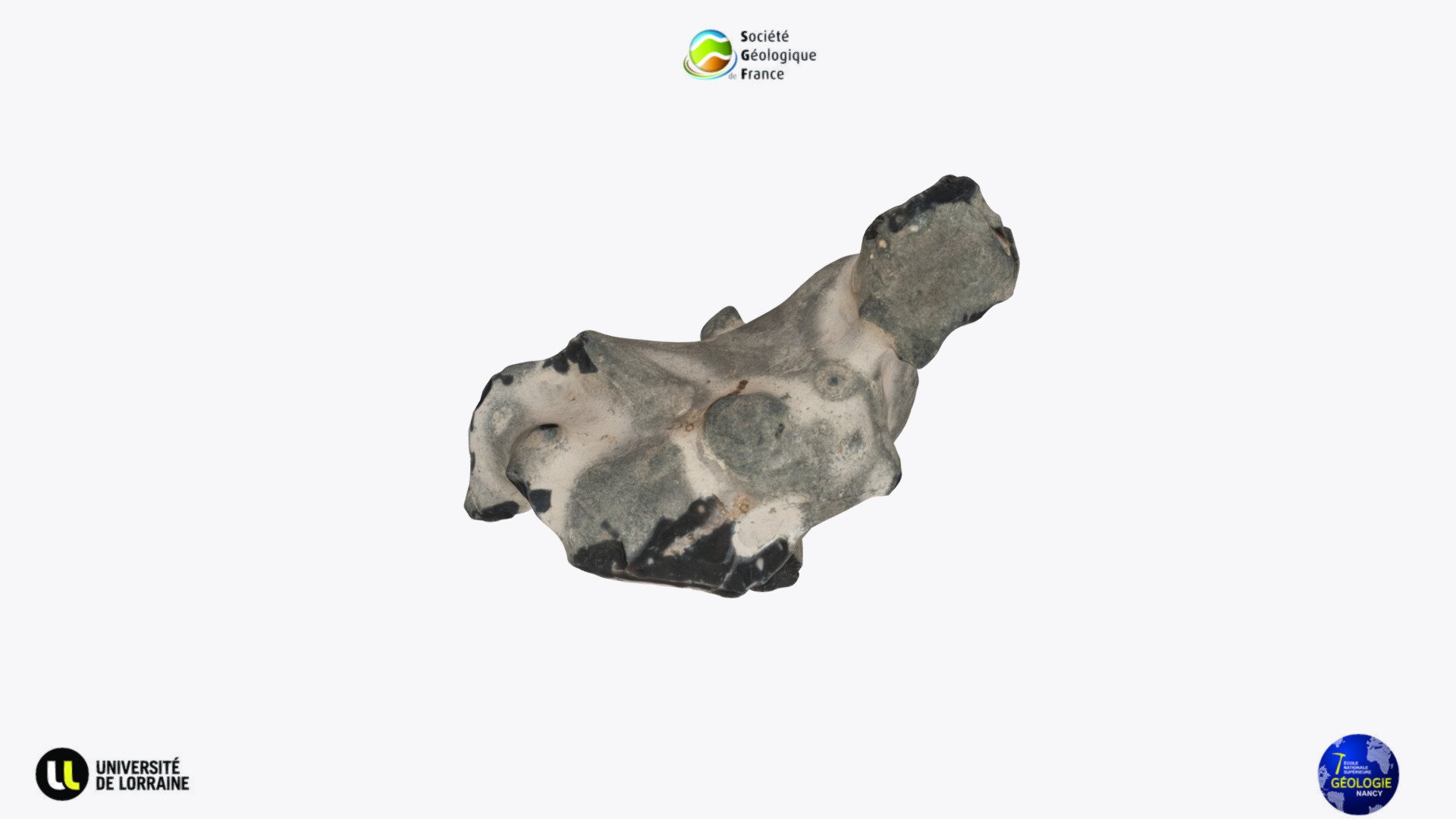 Roche - Silex dans la craie - Download Free 3D model by Société ...